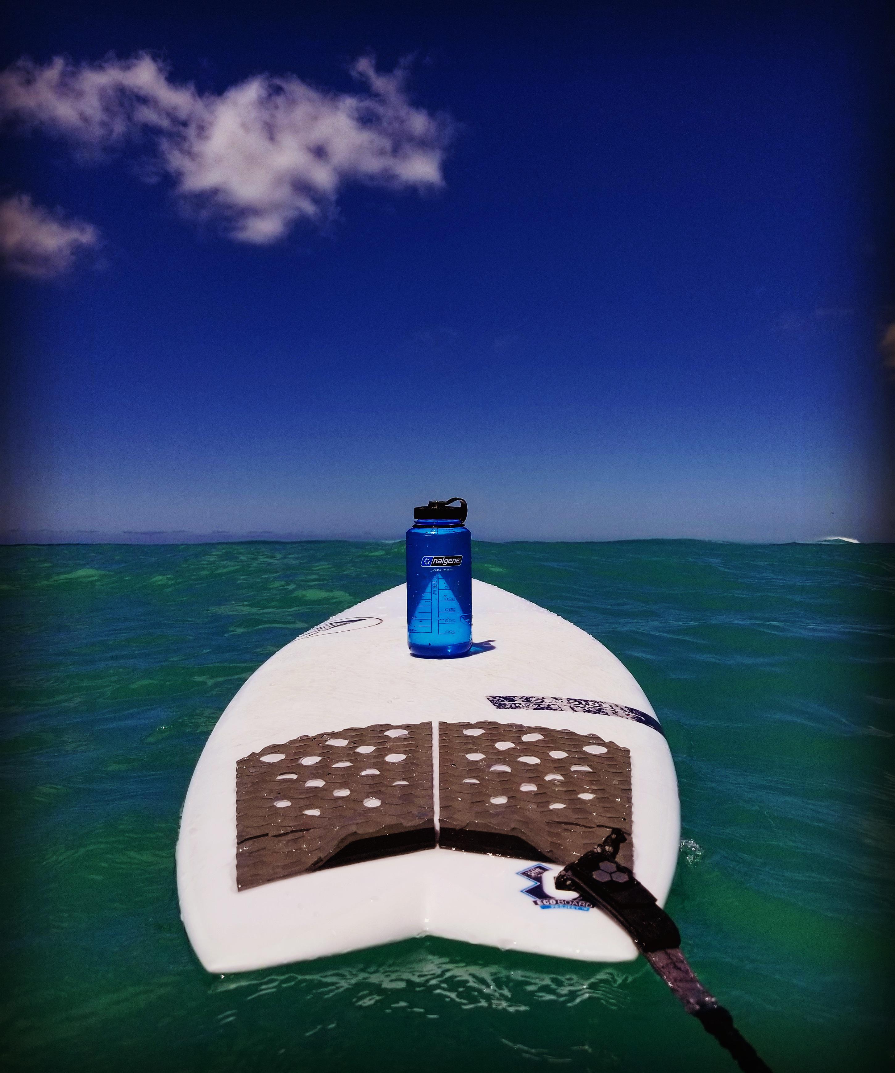 Liquid aloha. | Scrolller