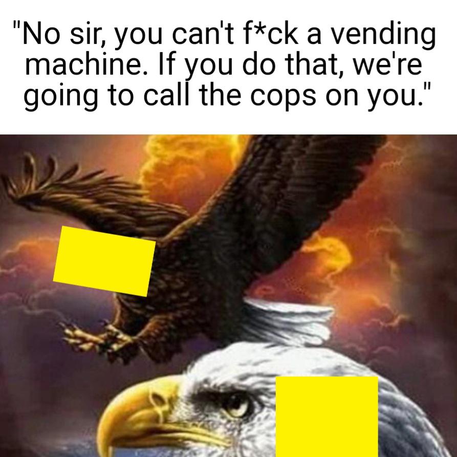 Literally 1984 | Scrolller