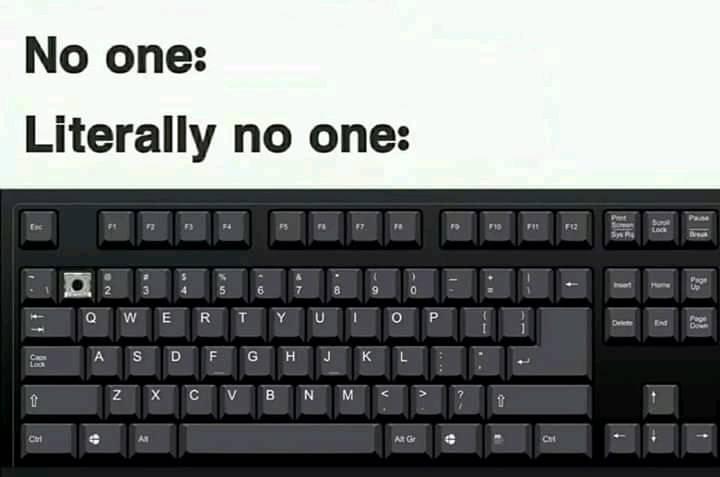 Literally | Scrolller