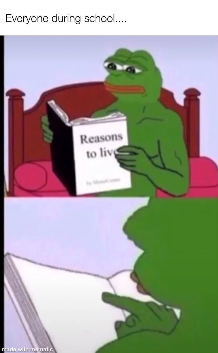 Literally everyone | Scrolller