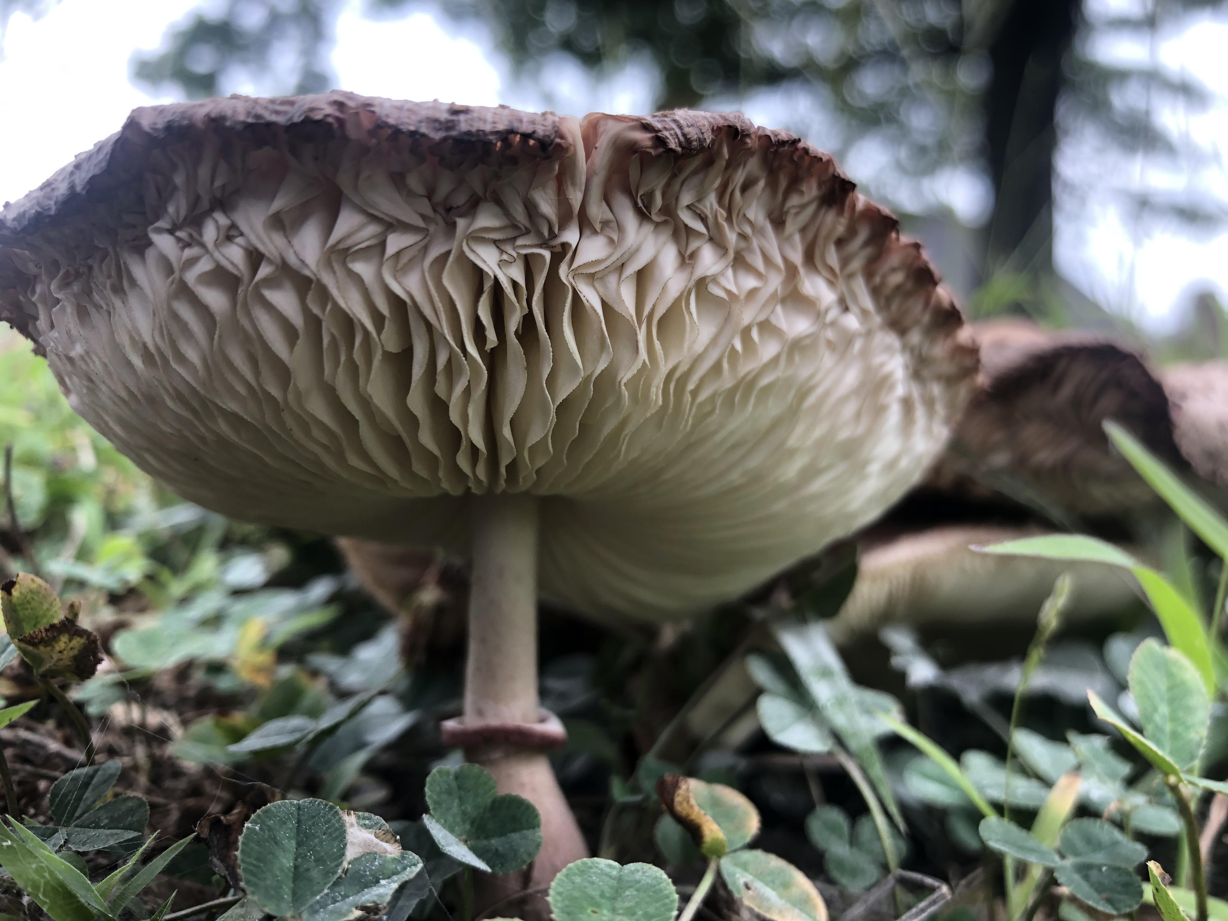 Literally just stuck my phone down there to get a quick pic of the ...