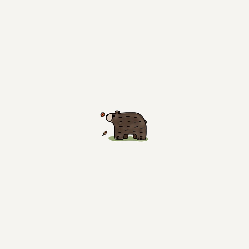 little bear. | Scrolller