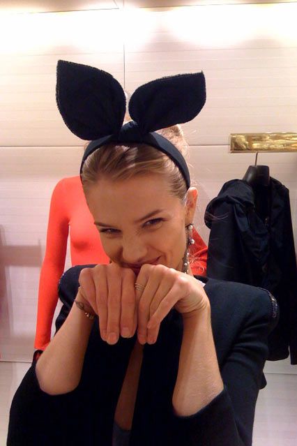 Little Bunny Rabbit | Scrolller