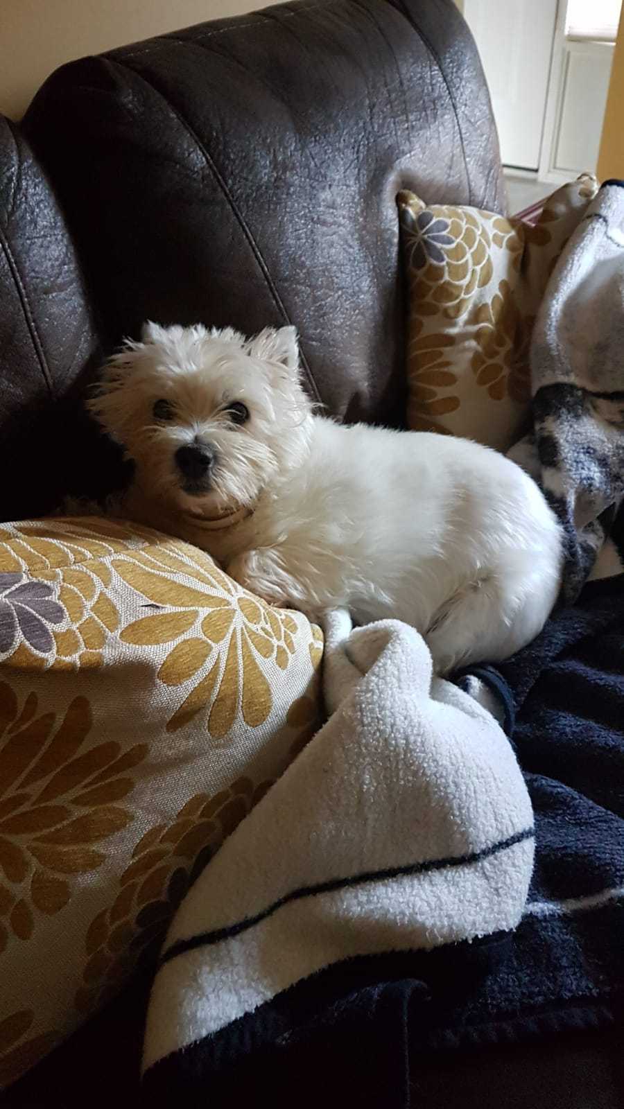 Little nugget | Scrolller