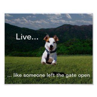 Live...like someone left the gate open 🐾 | Scrolller