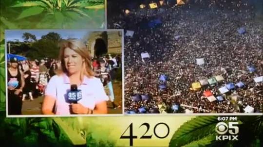 Live TV report on 420 | Scrolller
