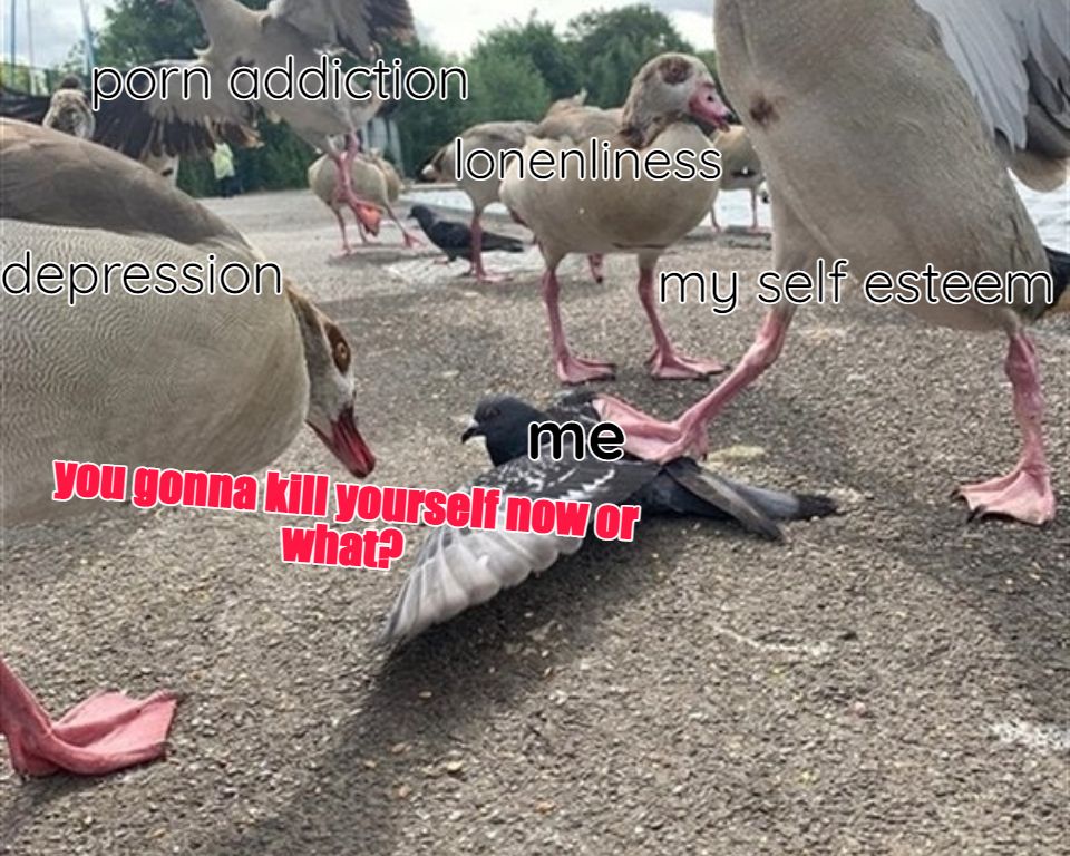 living.... | Scrolller