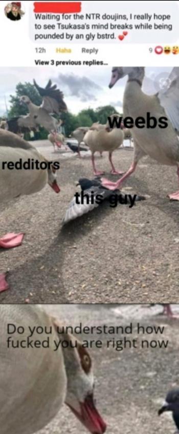 Loads shotgun with killing intent | Scrolller