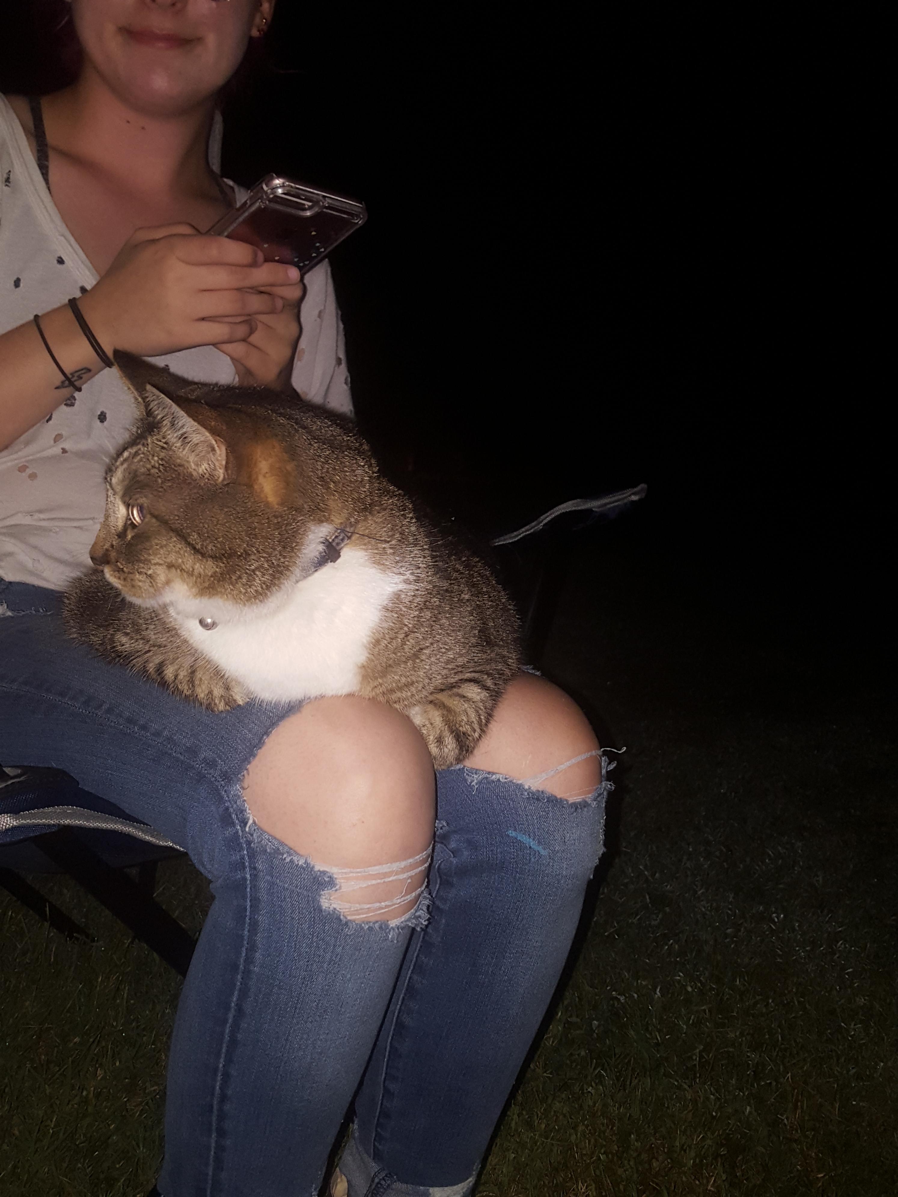 Loafing around | Scrolller