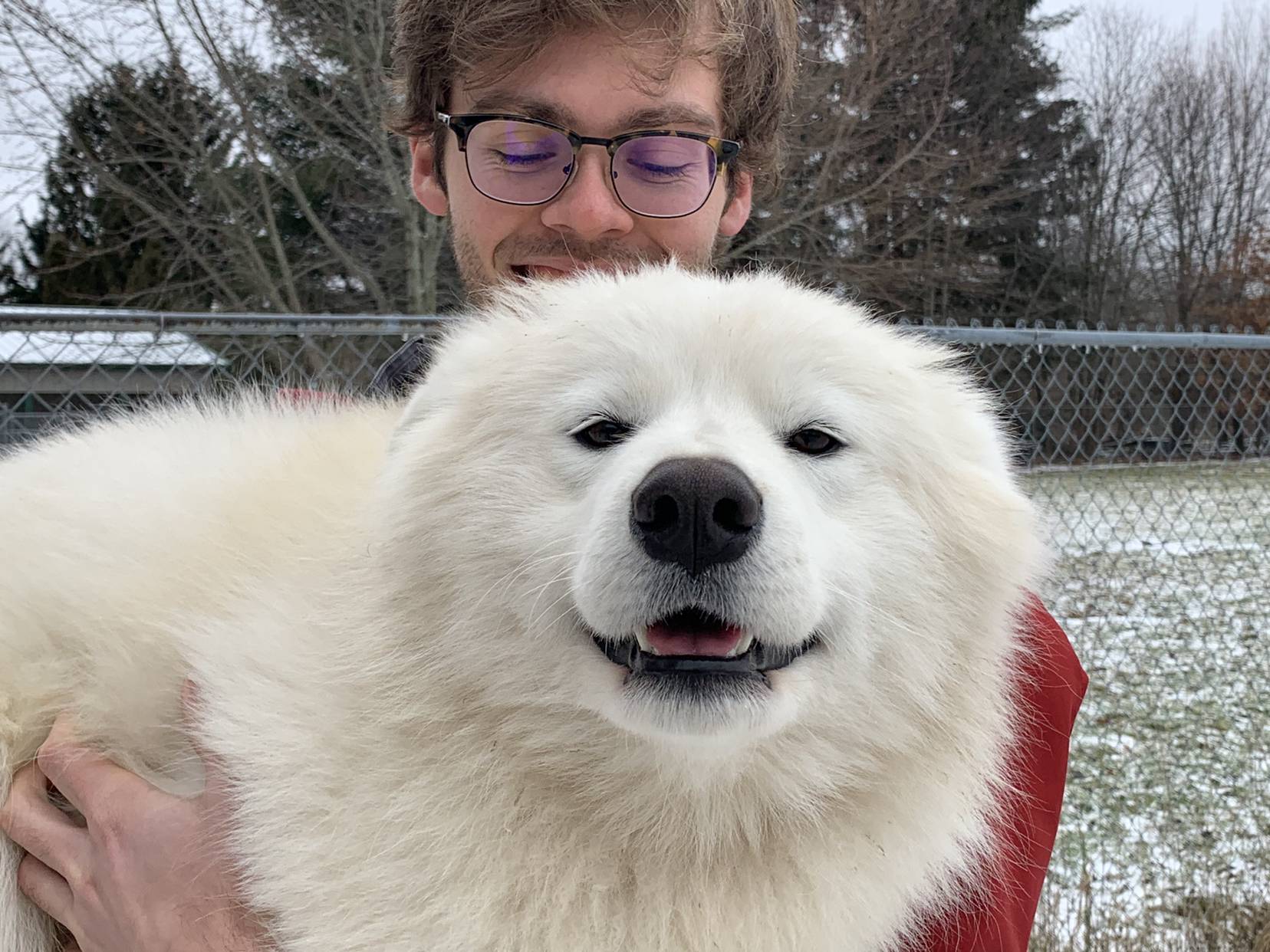 Local polar bear | Scrolller