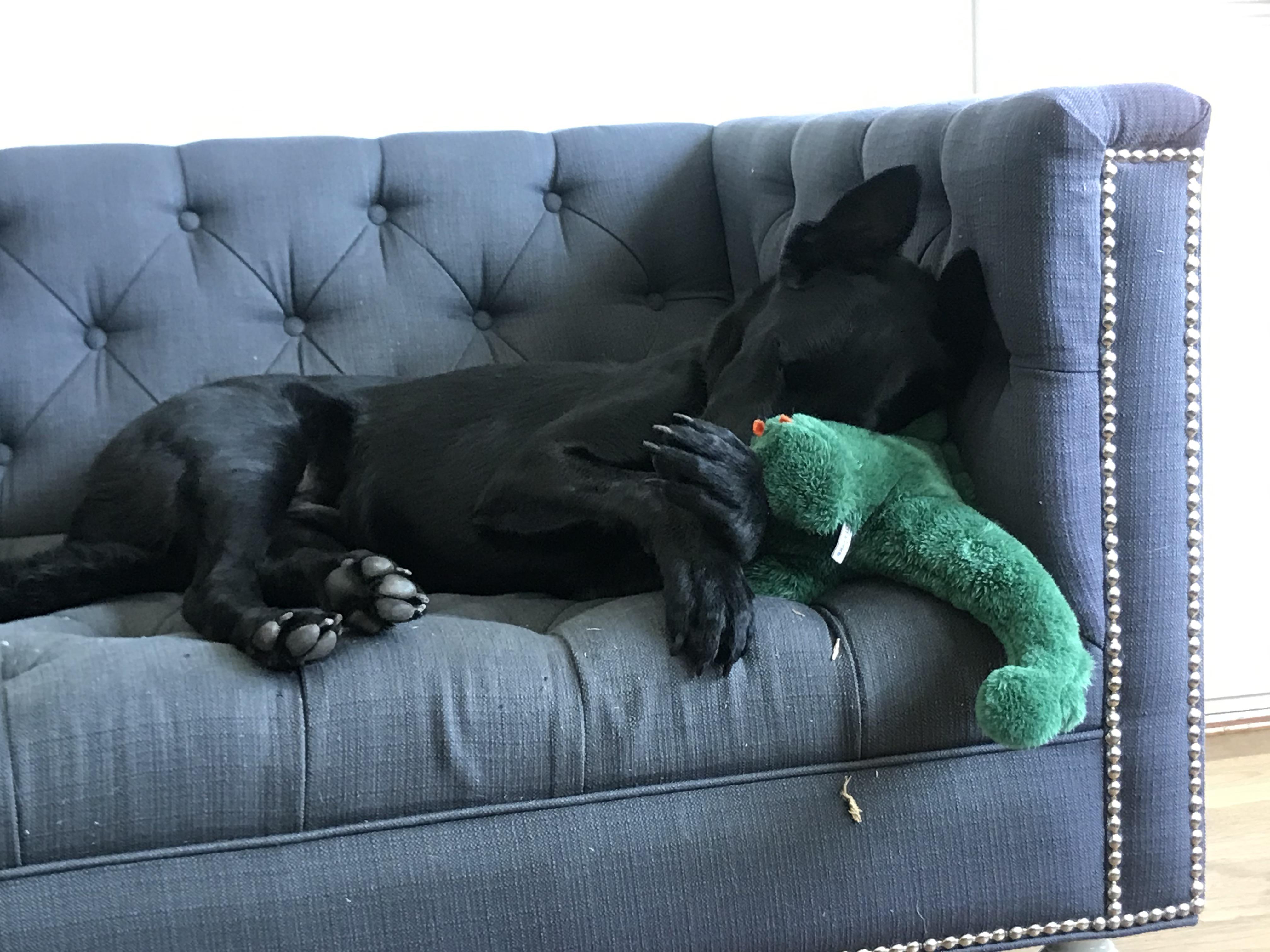 Logan is Wolverine! | Scrolller