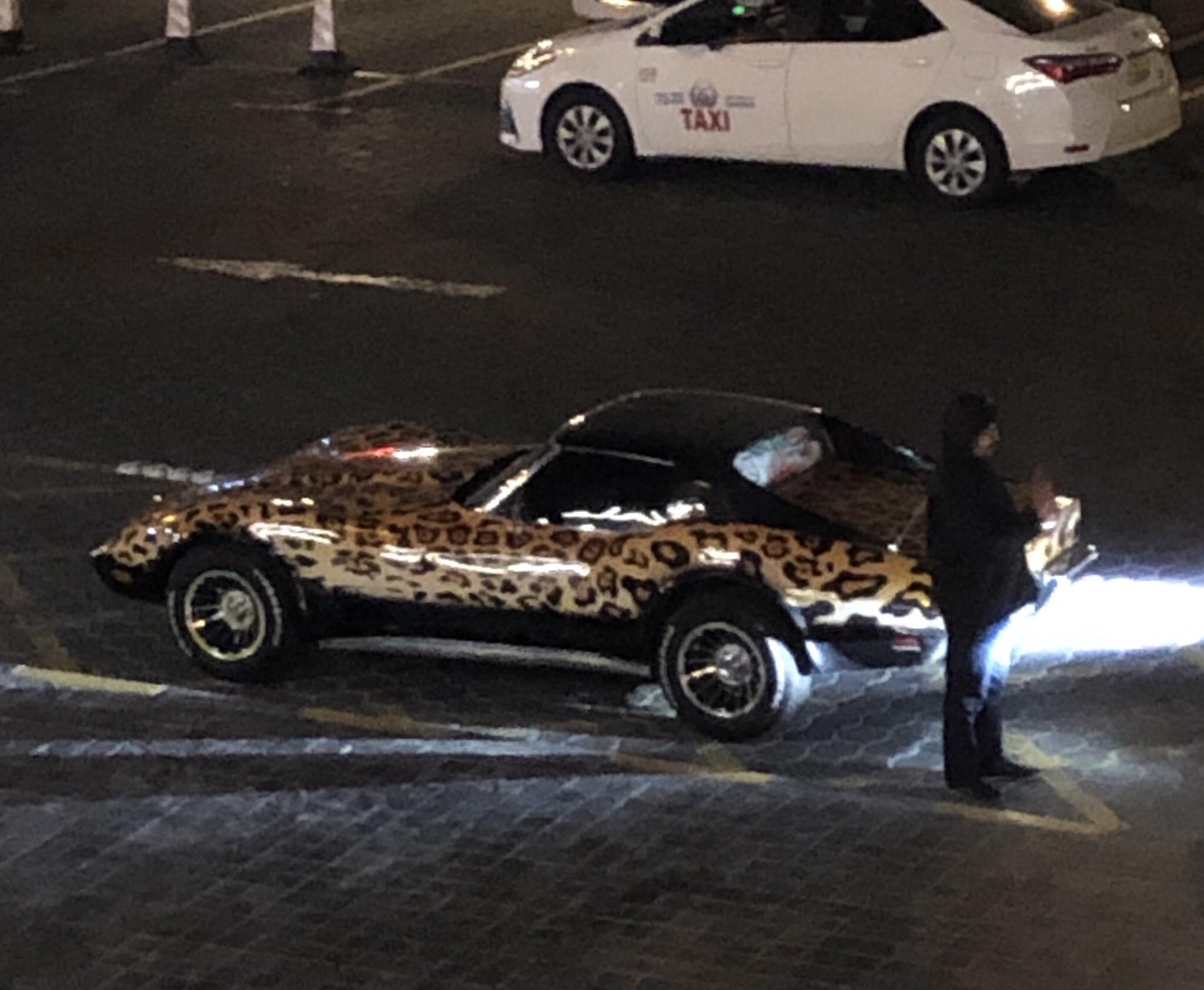 Lol spotted | Scrolller