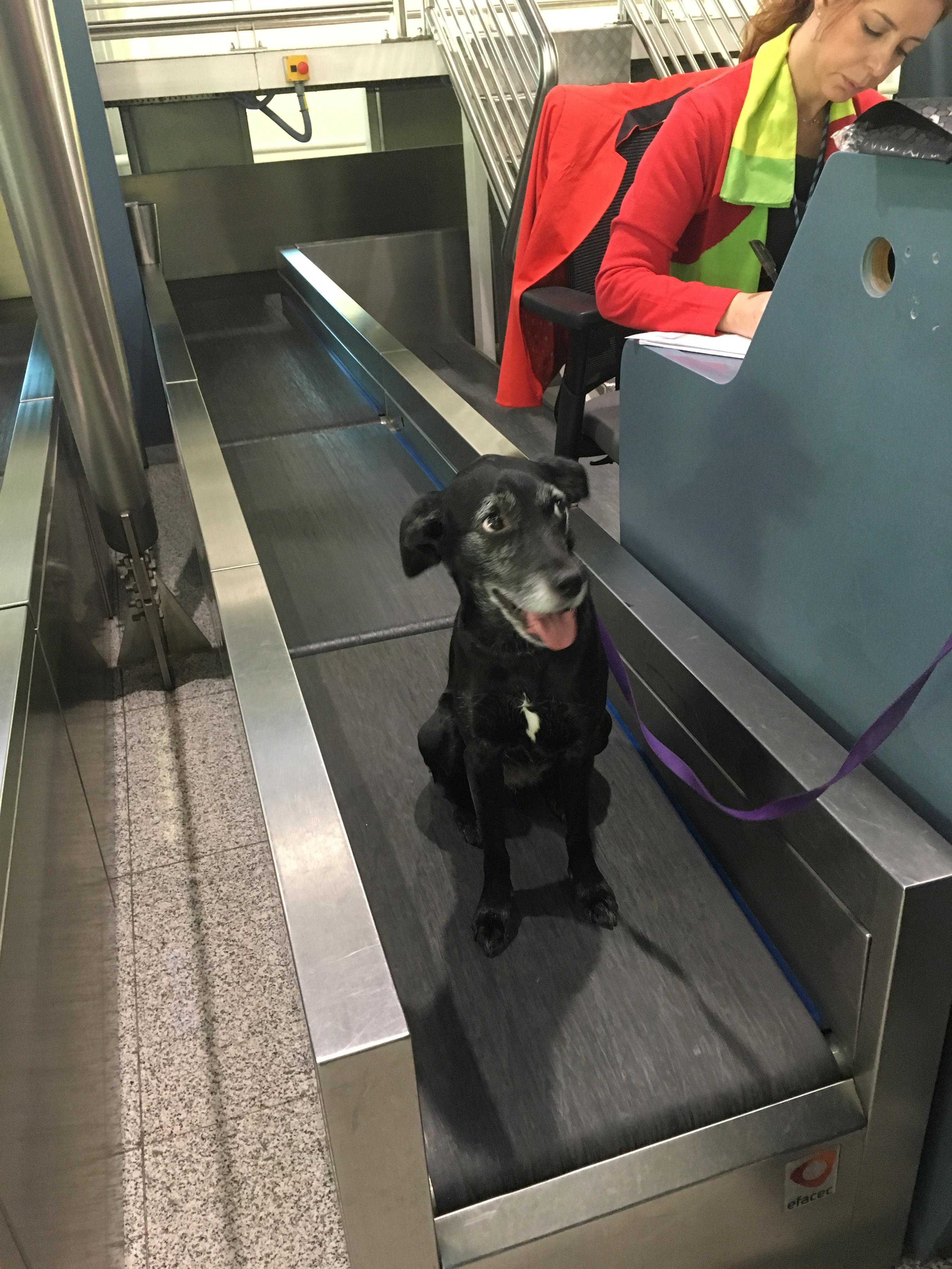 Lola is baggage | Scrolller