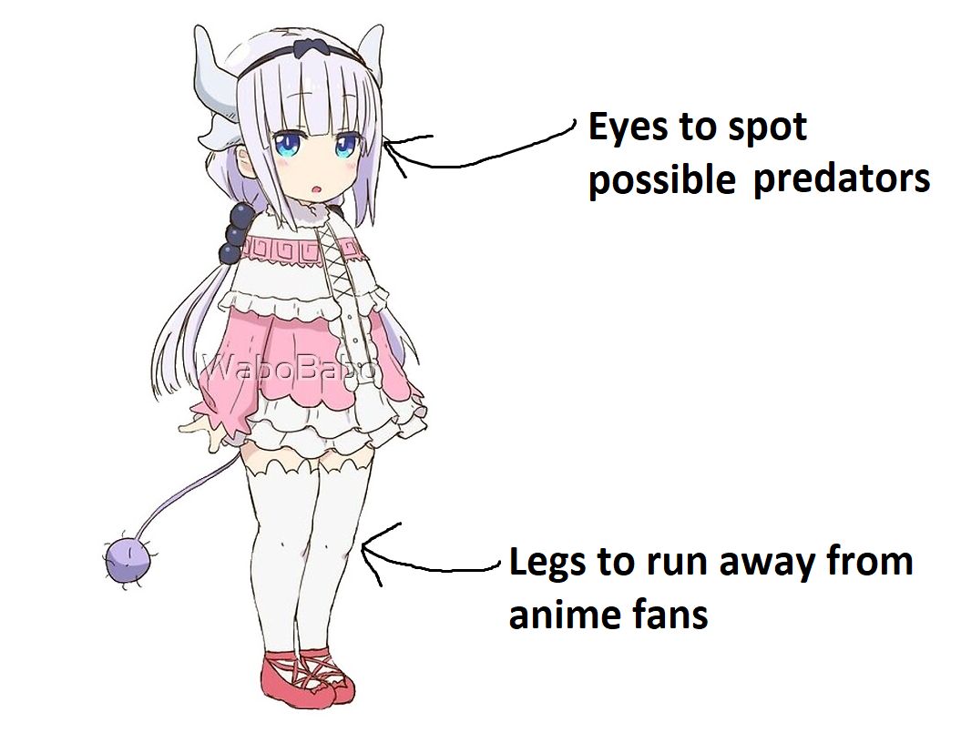 Loli anatomy 😍 | Scrolller