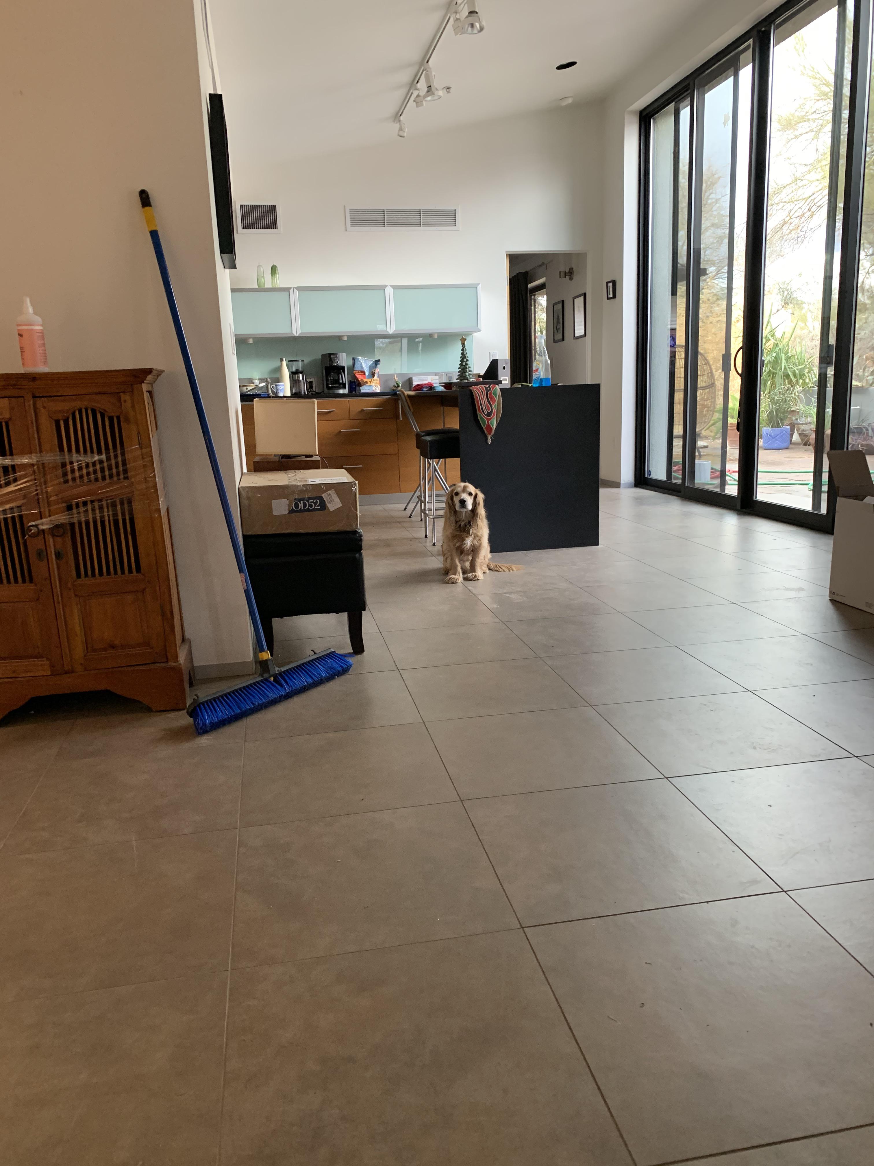 Long distance begging | Scrolller