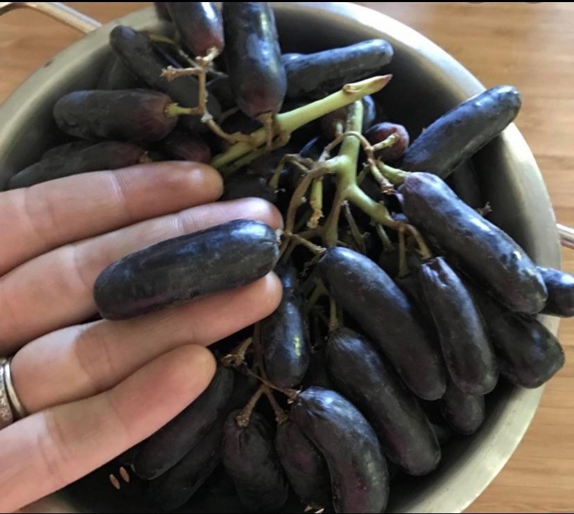 Long grapes | Scrolller