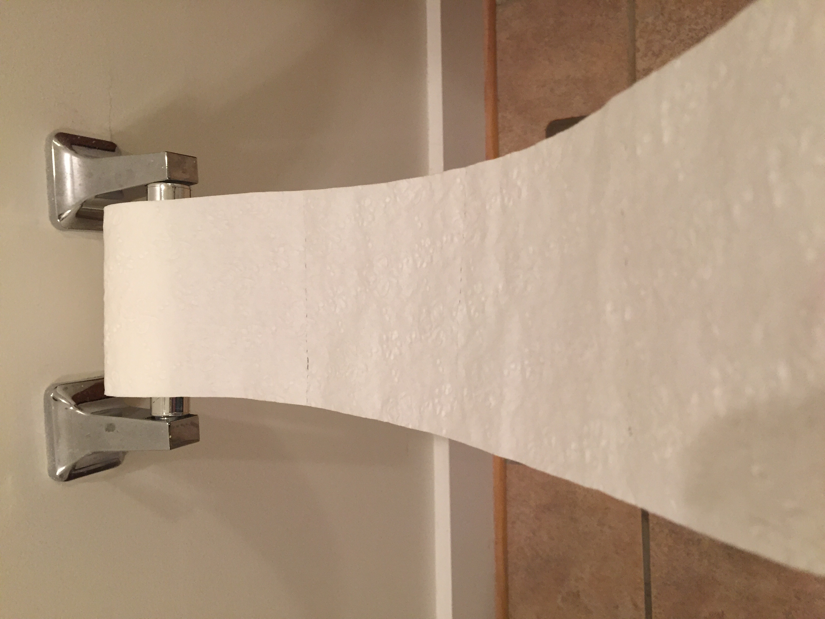 long toilet paper | Scrolller
