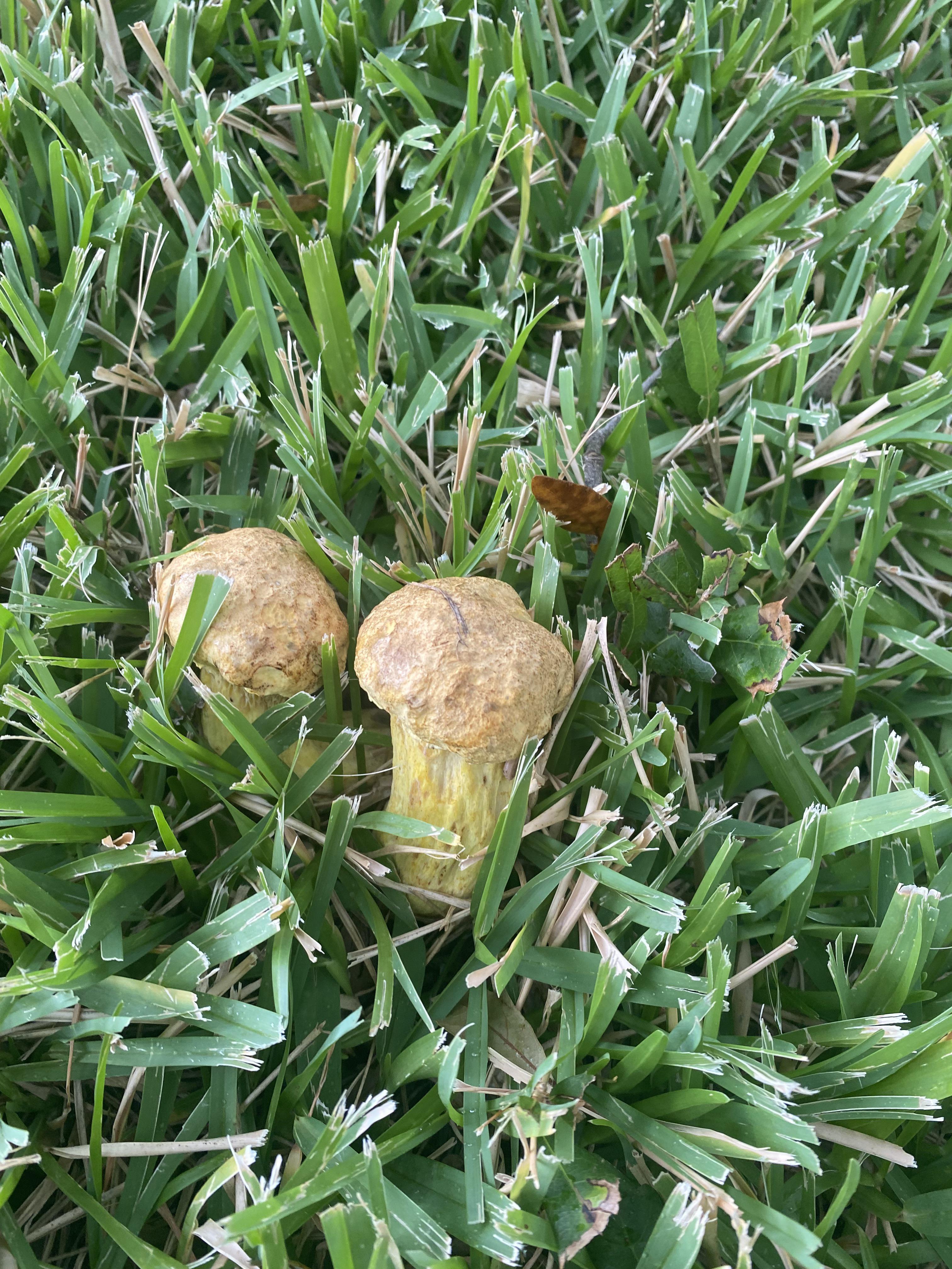 Look at this cute couple | Scrolller