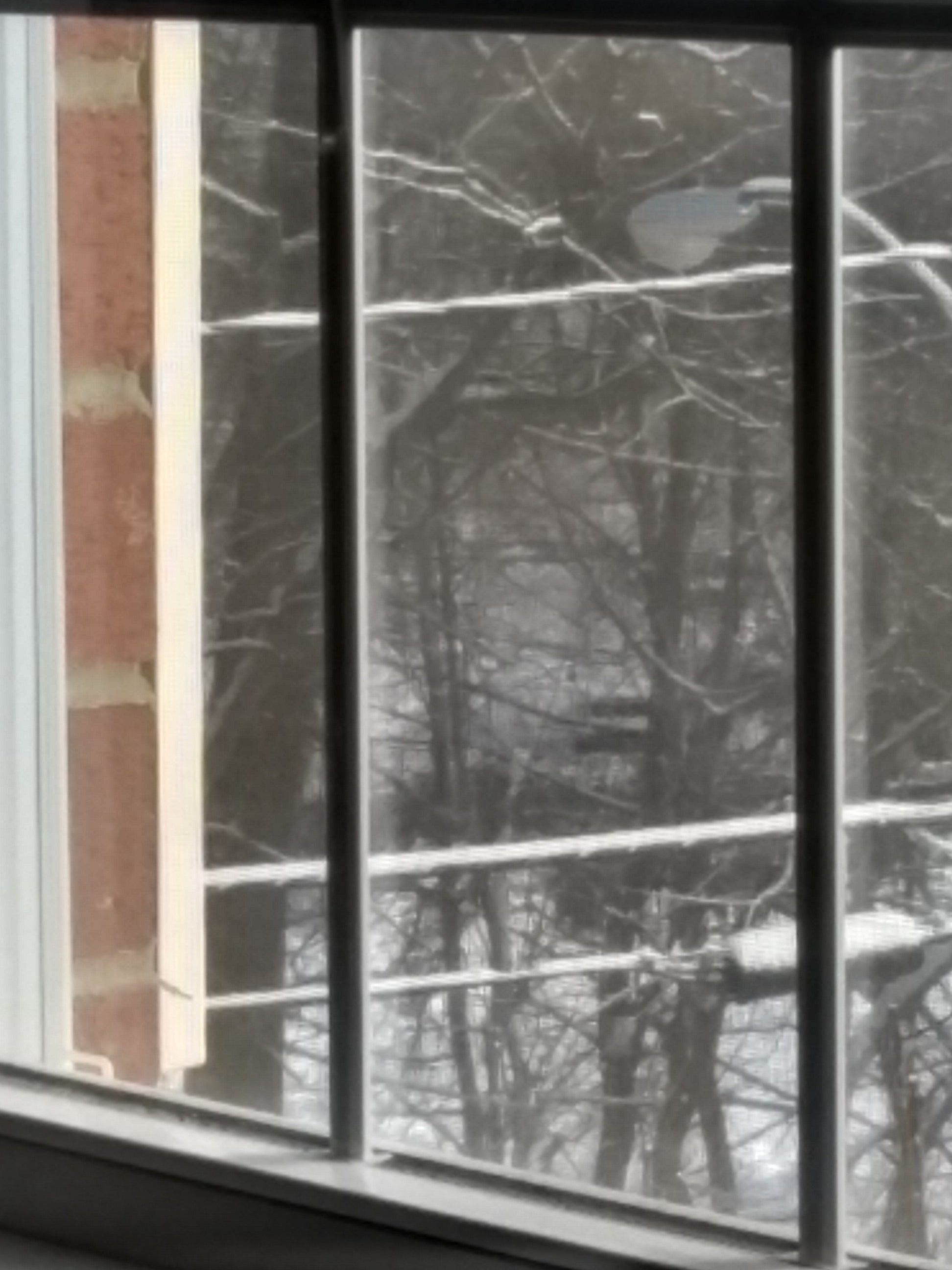 Look in the middle window tile, it's a face | Scrolller