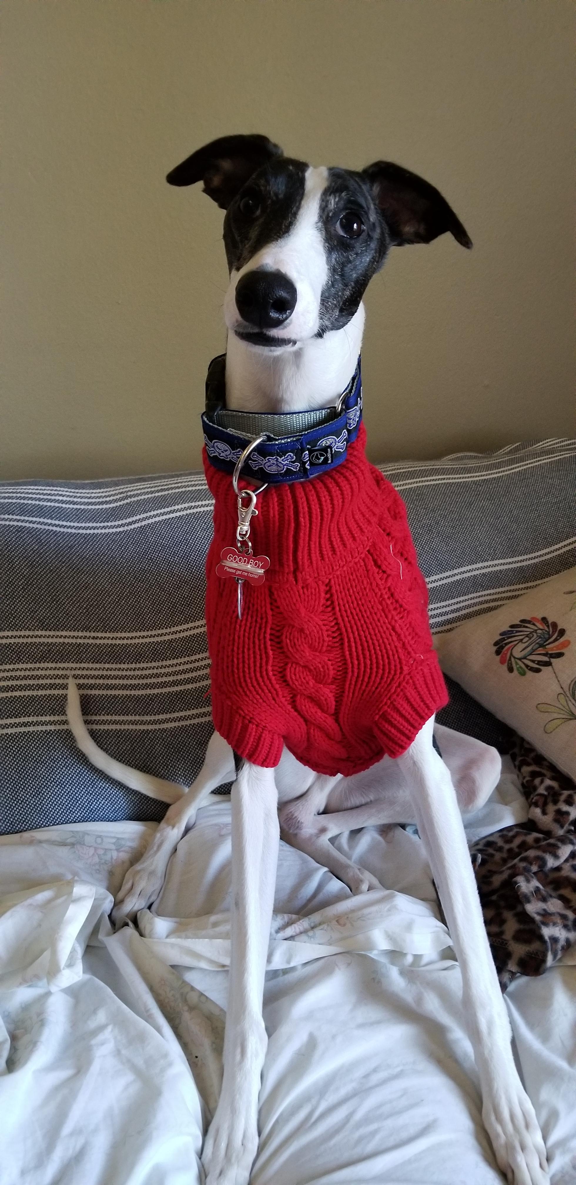 Lookin' spiffy | Scrolller