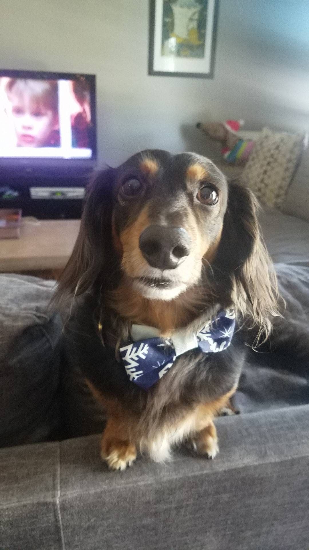 Looking Dapper as always | Scrolller