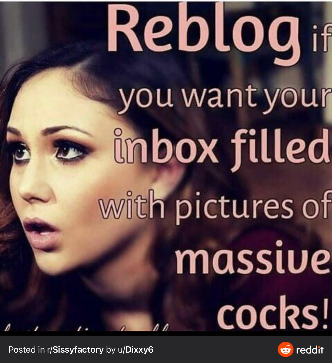 Looking forward to them | Scrolller