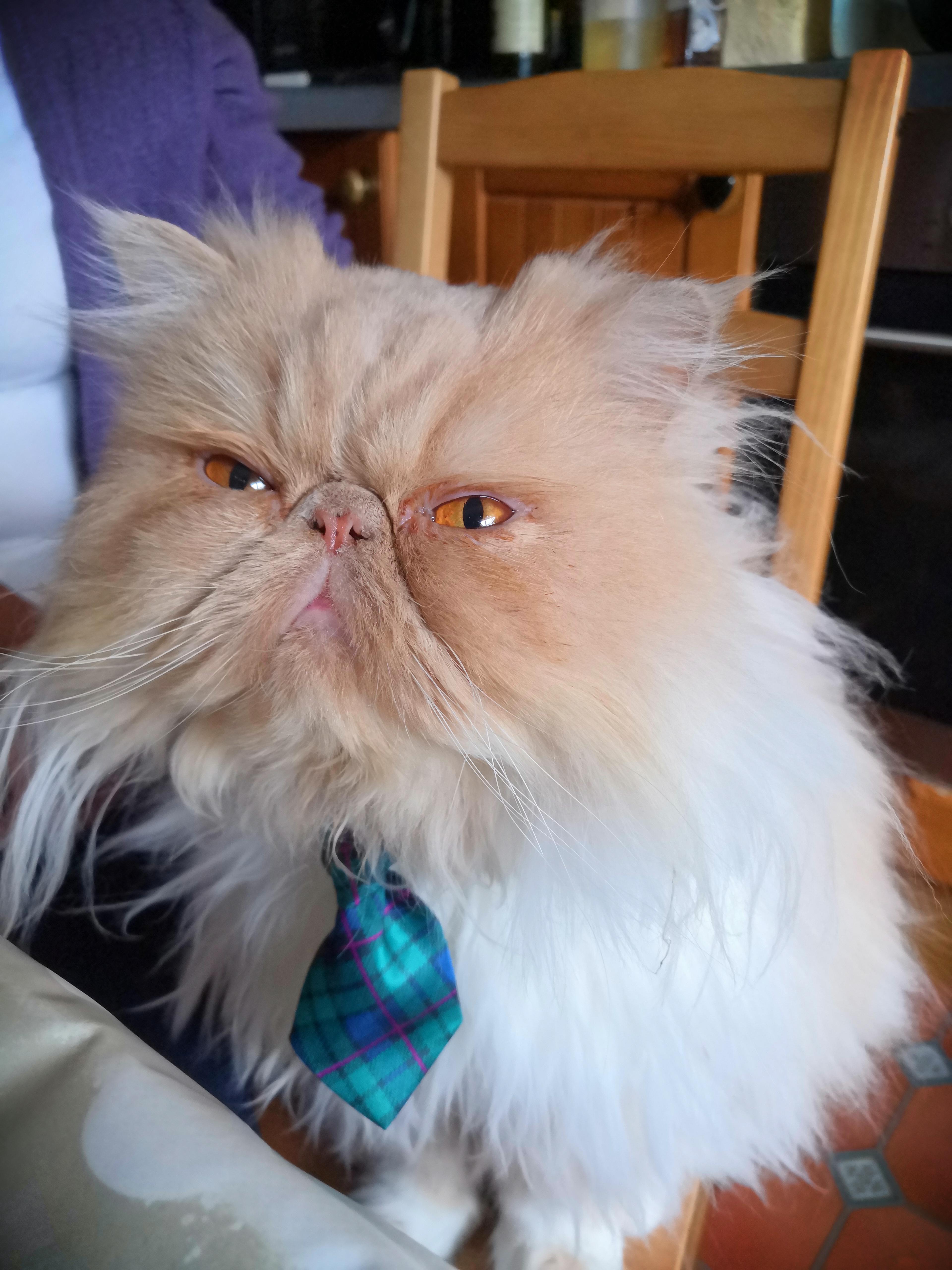 Looking smart and handsome 🌞♥️ | Scrolller