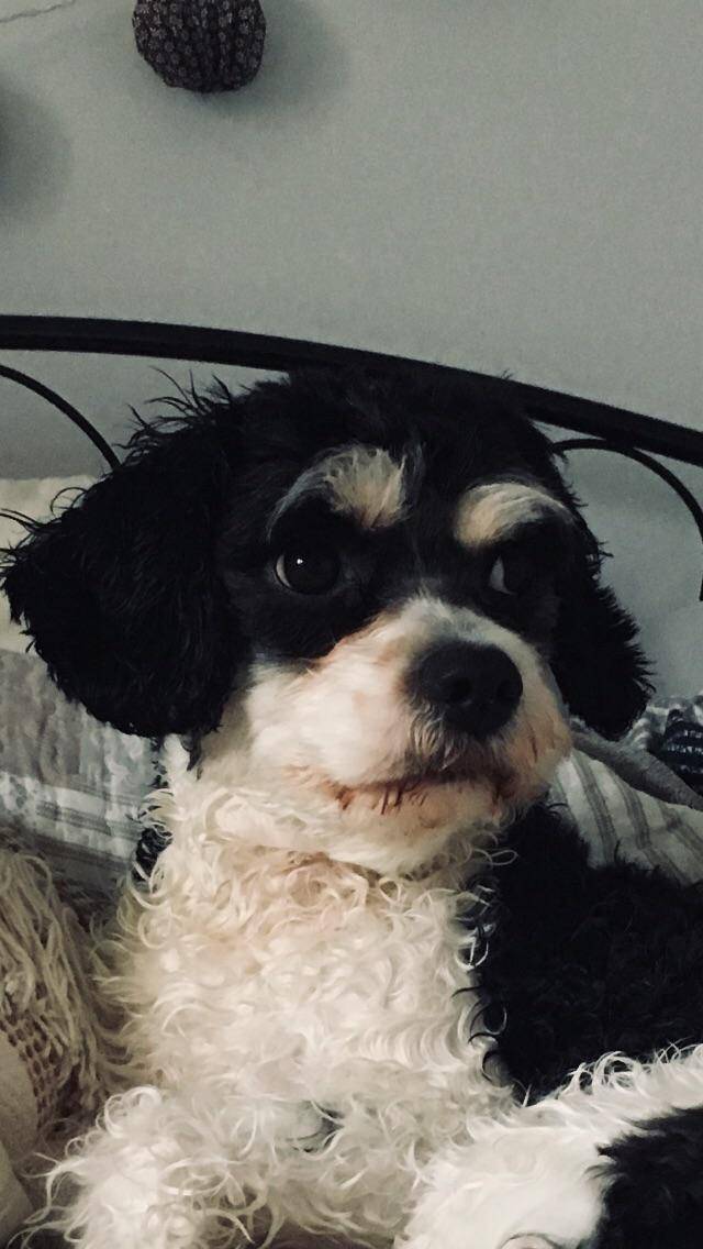 Looking very handsome. | Scrolller