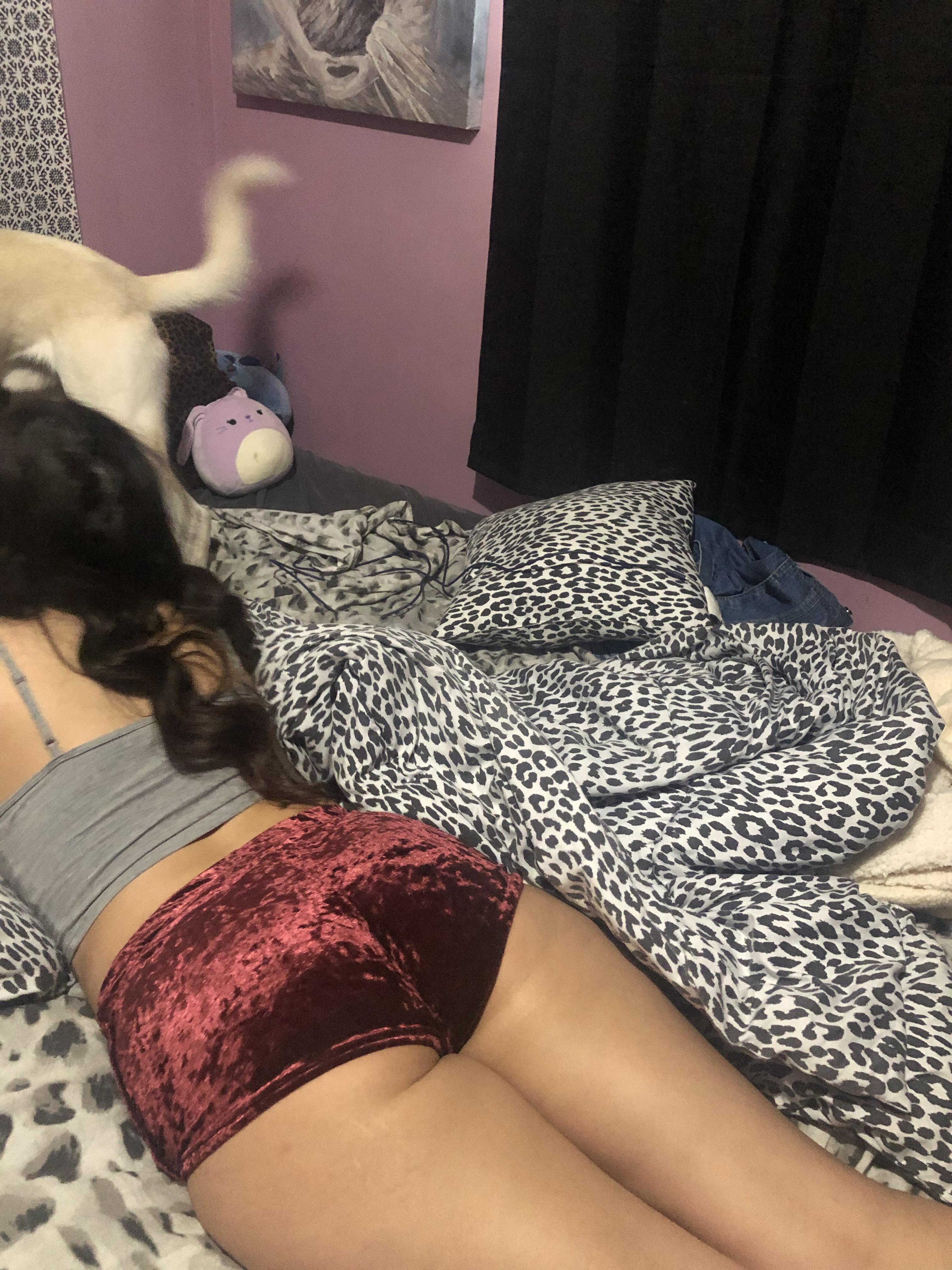 Looks comfy to me ?😏🥰 | Scrolller