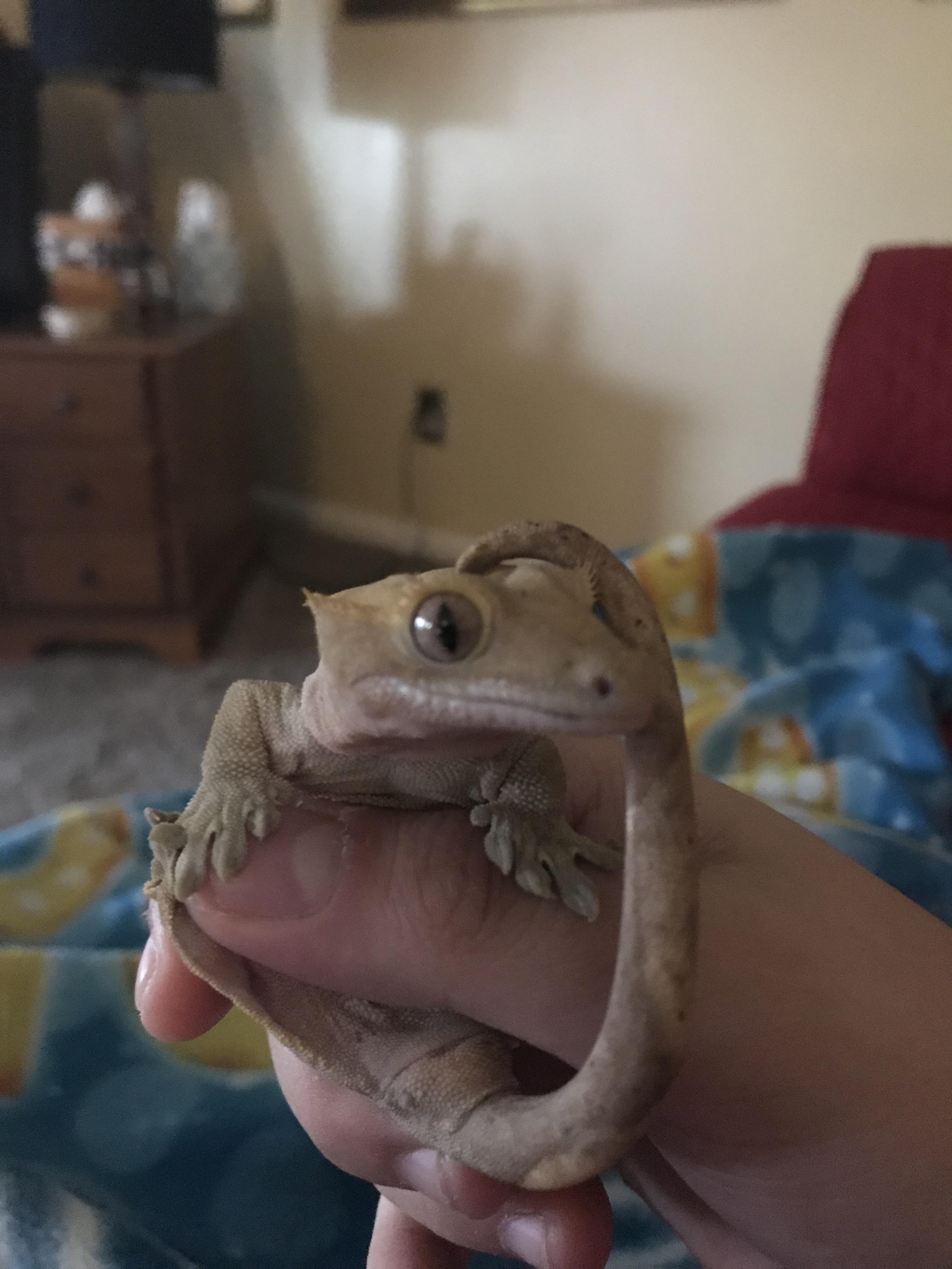 Loop de loop | Scrolller