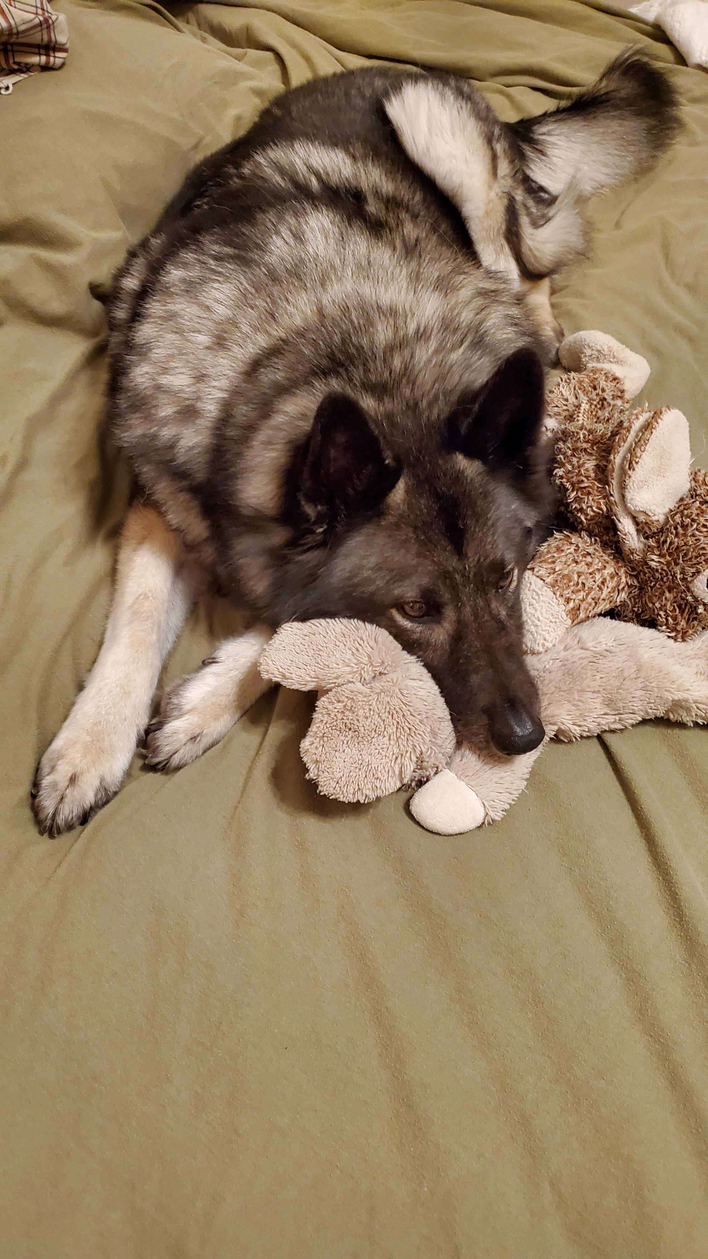 Lost in Thought | Scrolller