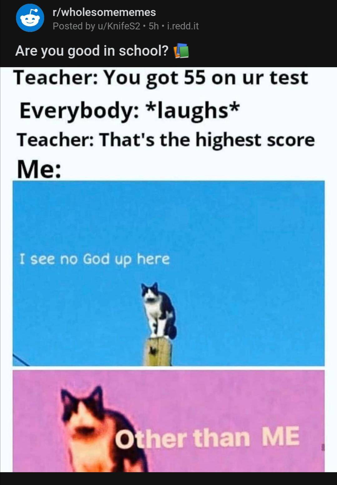 Lost Redditor | Scrolller