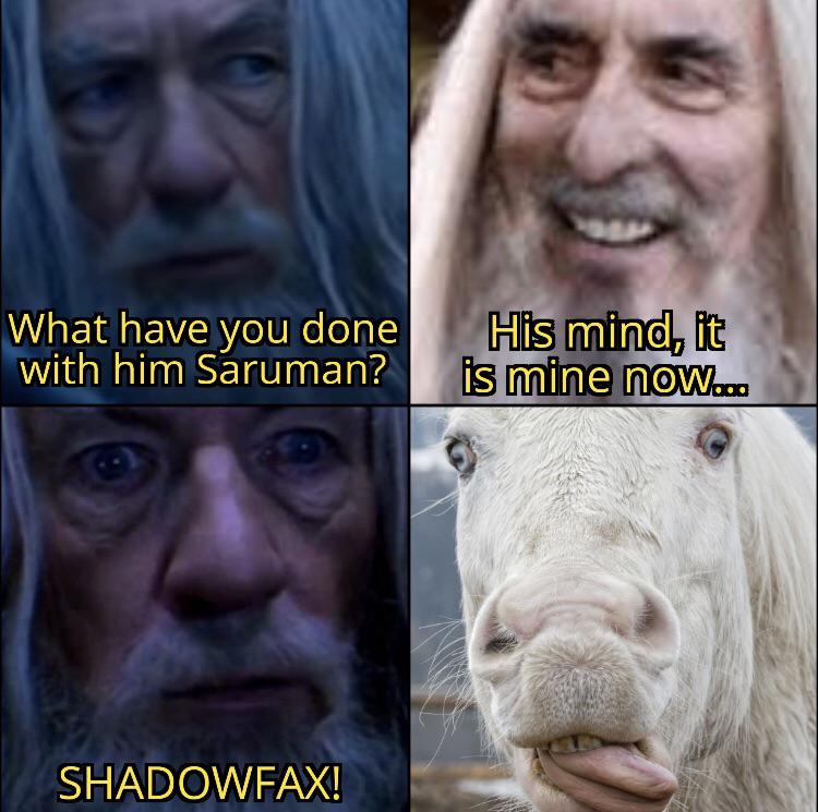 LOTR rule | Scrolller