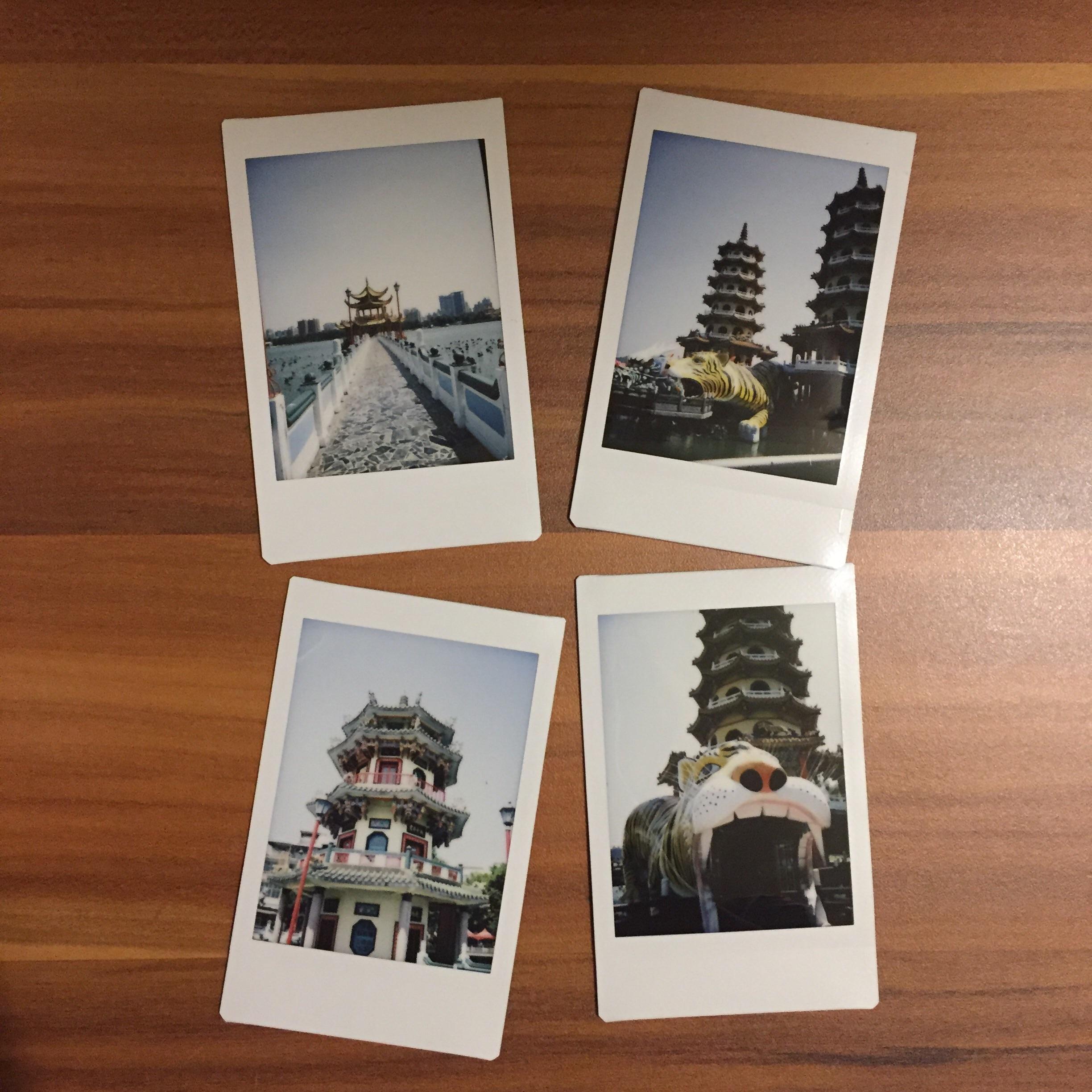 Lotus Pond, Taiwan [Mini 70] | Scrolller