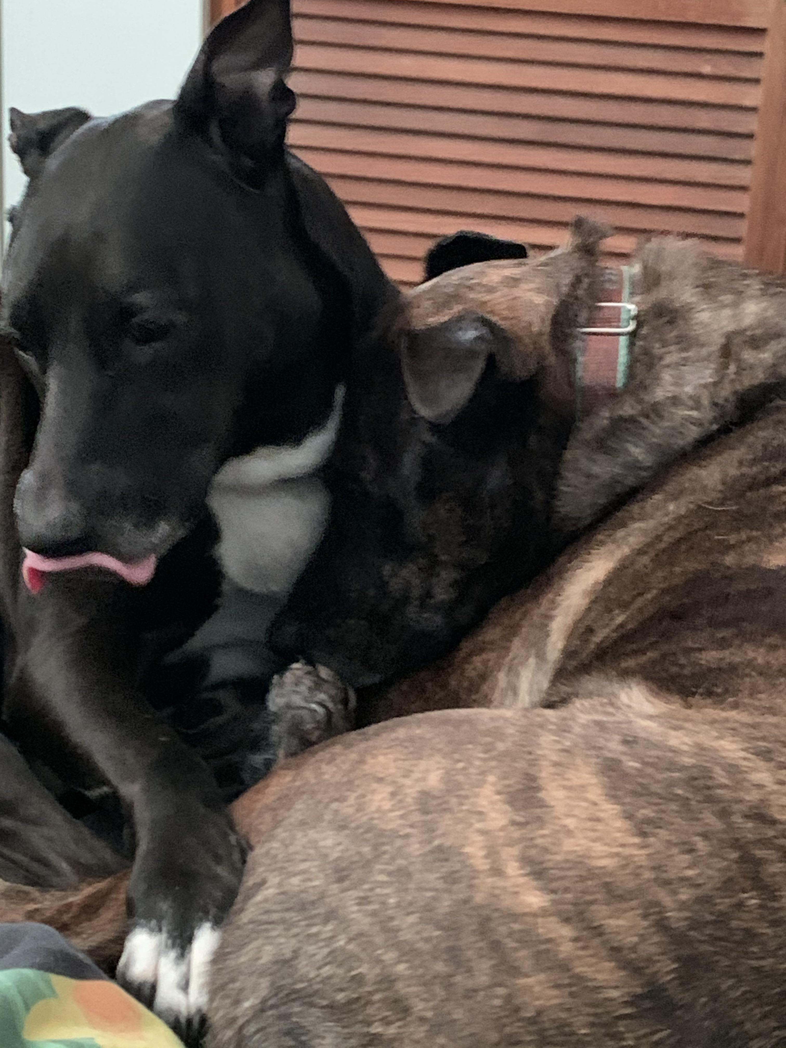 Love a good bloop | Scrolller