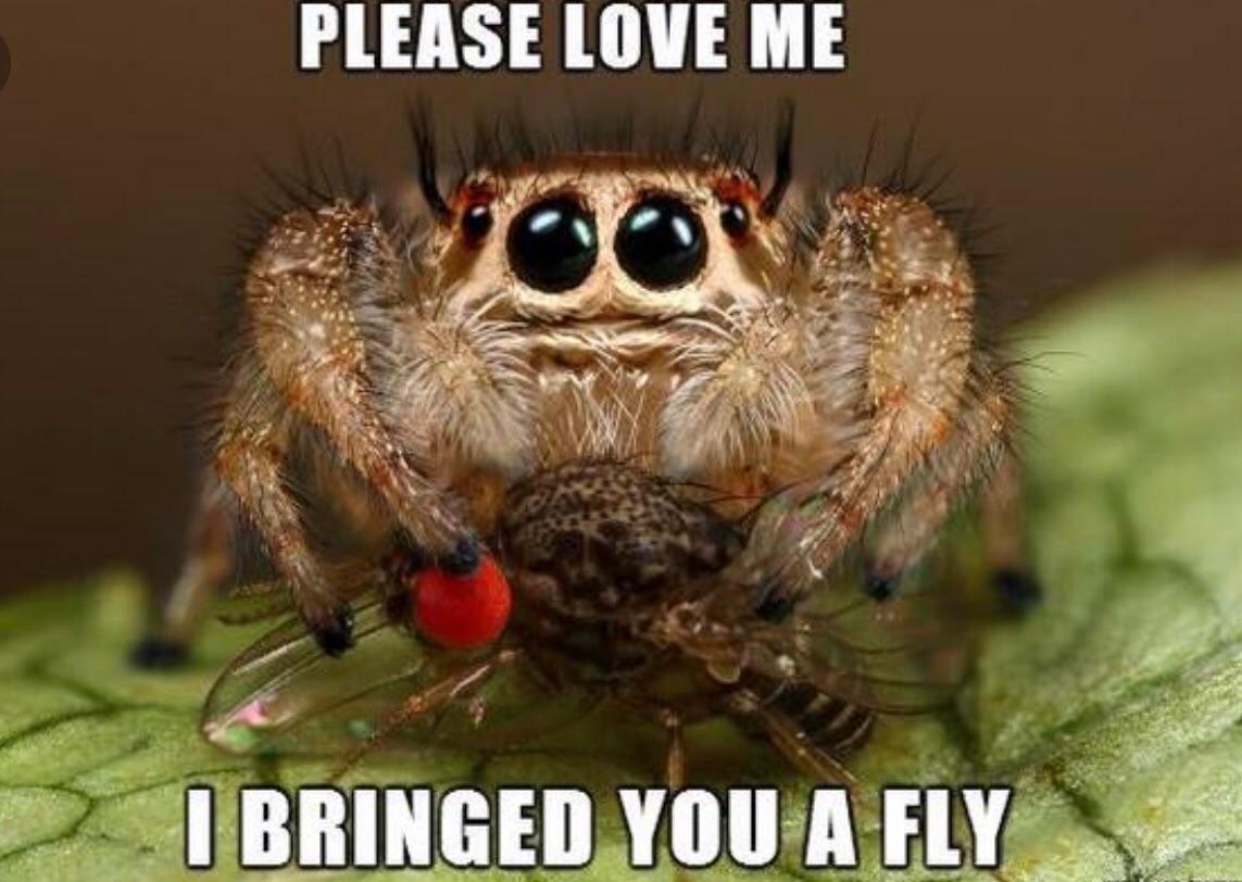 Love forever | Scrolller