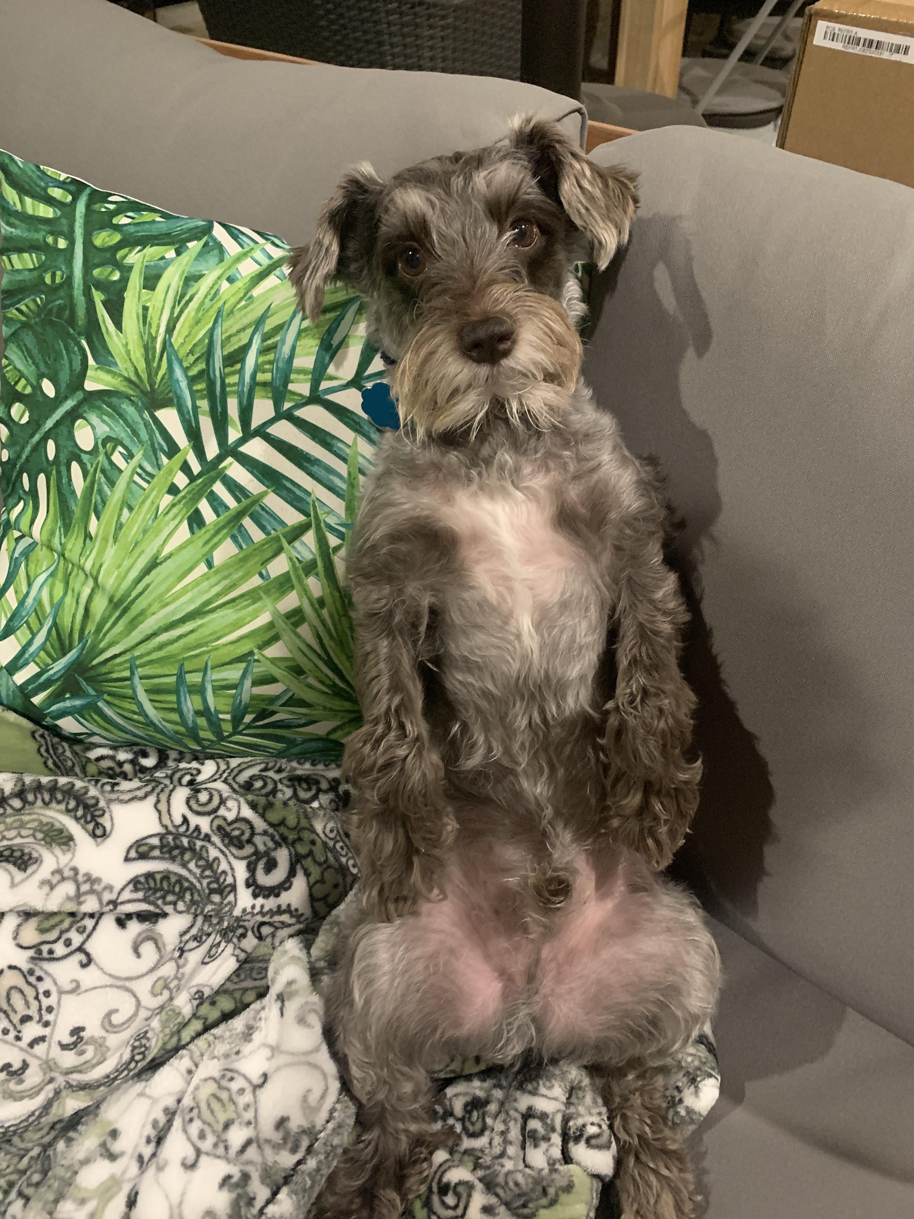 Love my little guy | Scrolller