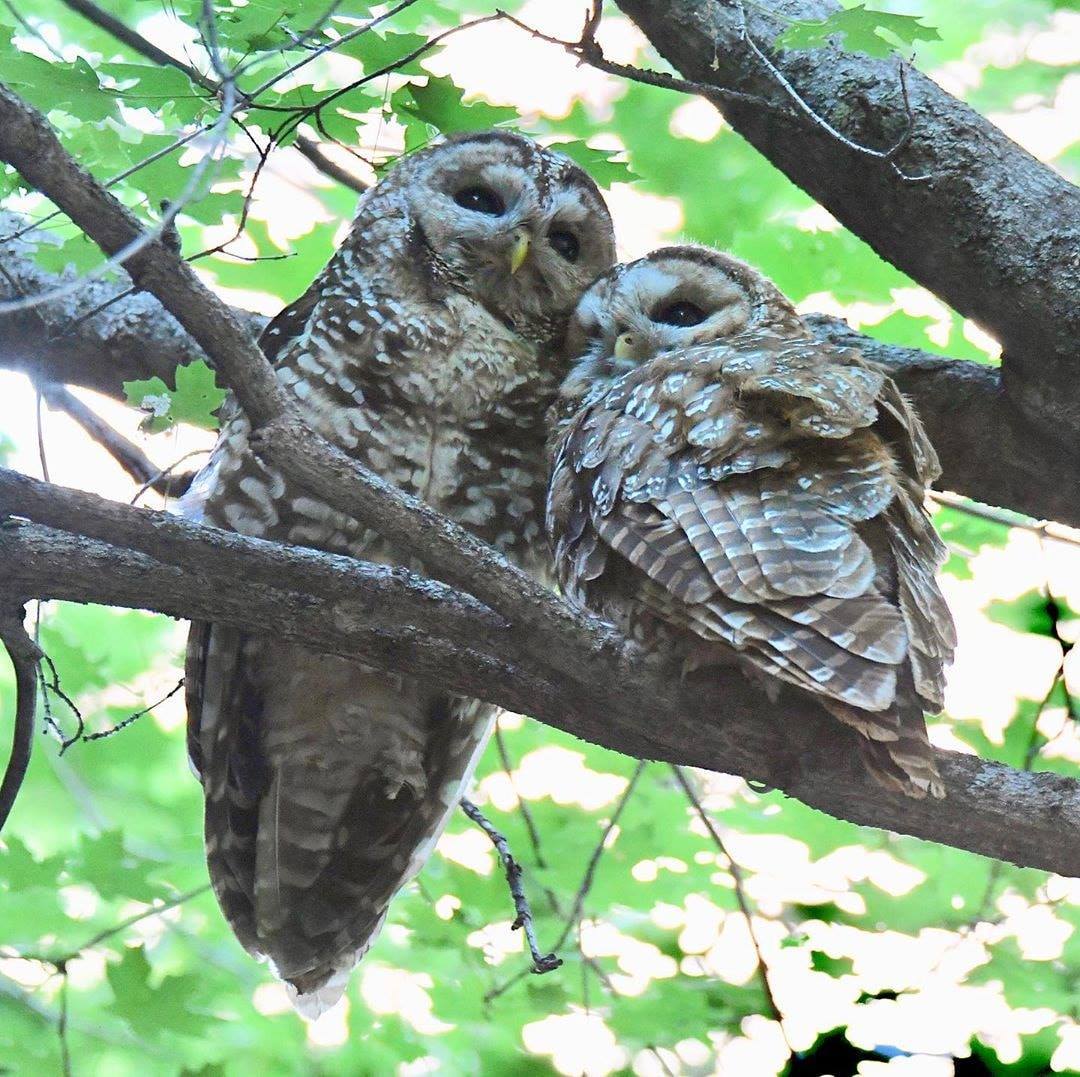 Lovely couple.!! | Scrolller