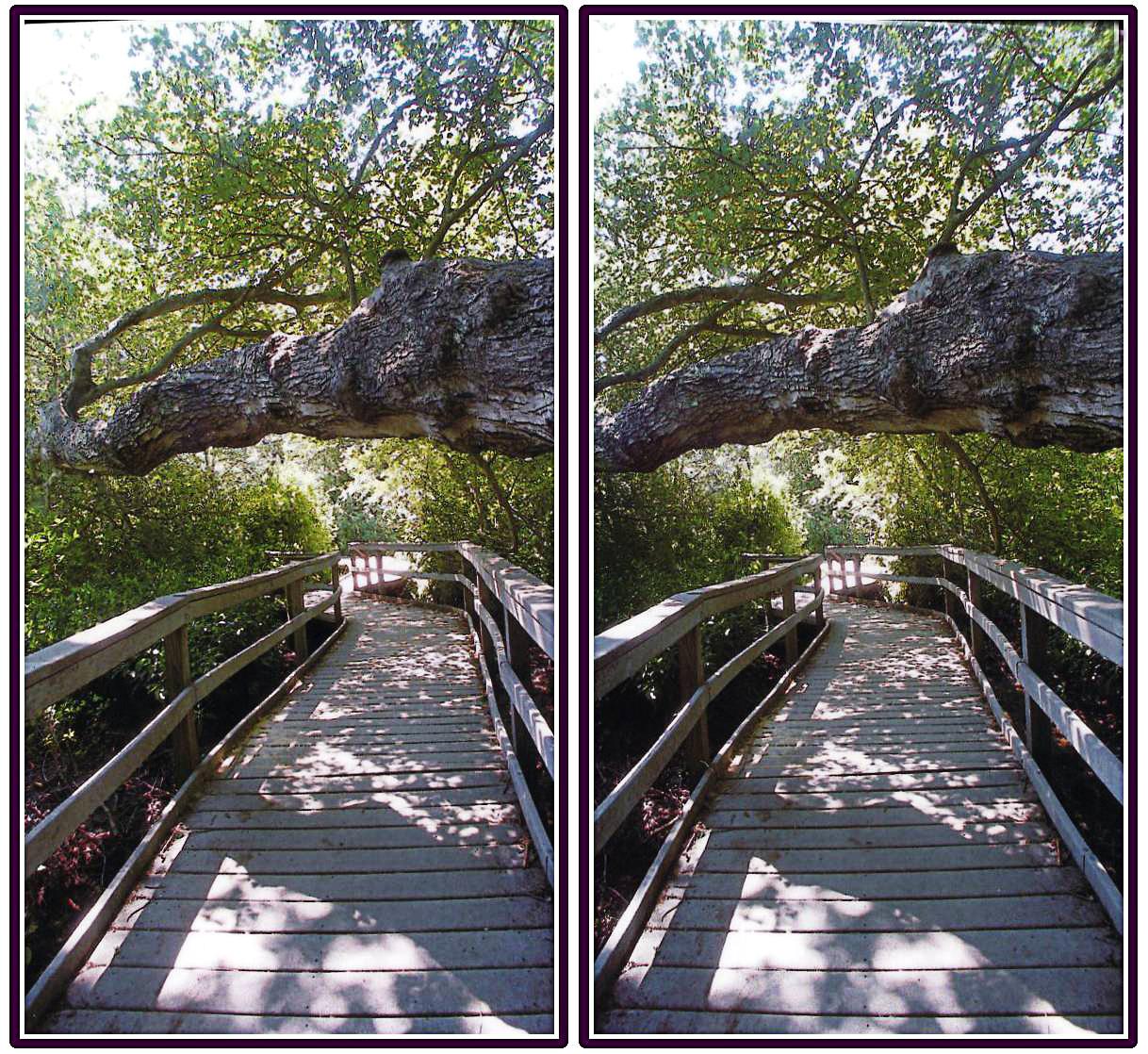 Low Overhead | Scrolller