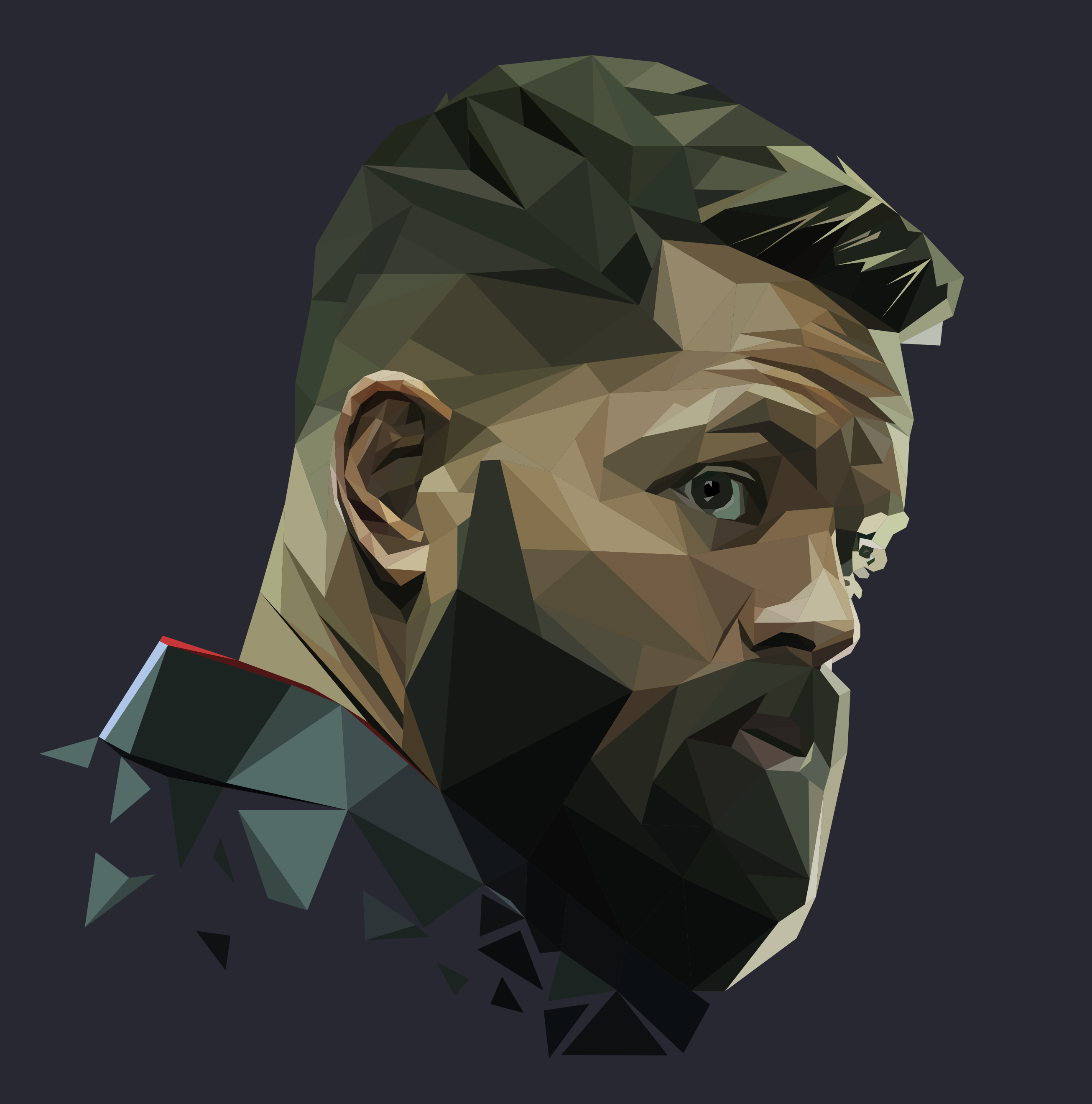 Low-poly Amos, by me | Scrolller