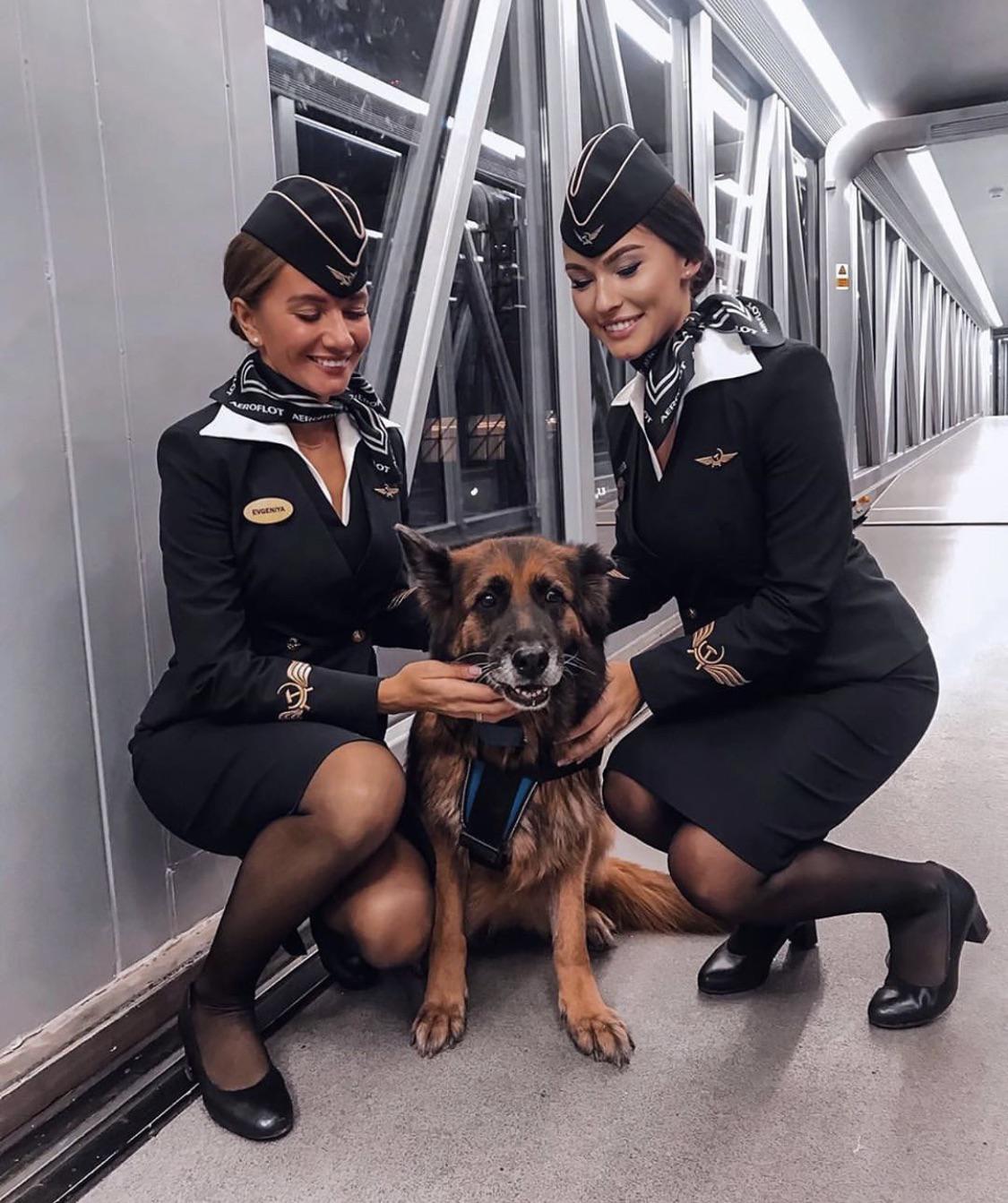 Lucky boy | Scrolller