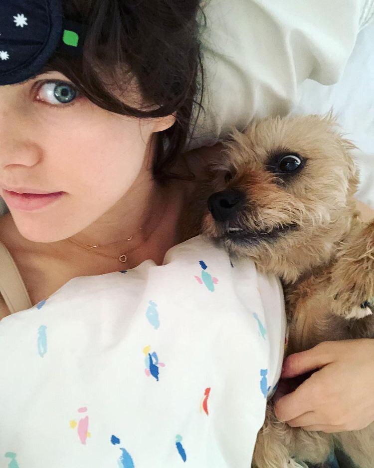 Lucky dog! | Scrolller