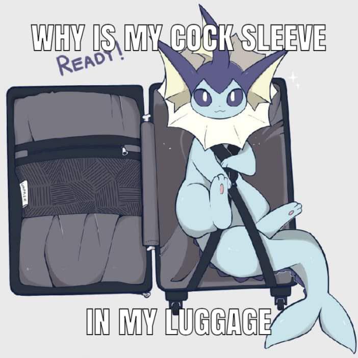 Luggage_irl | Scrolller