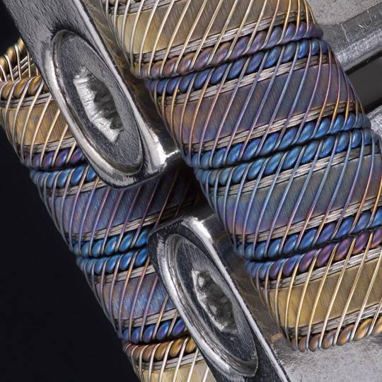 Macro fun | Scrolller