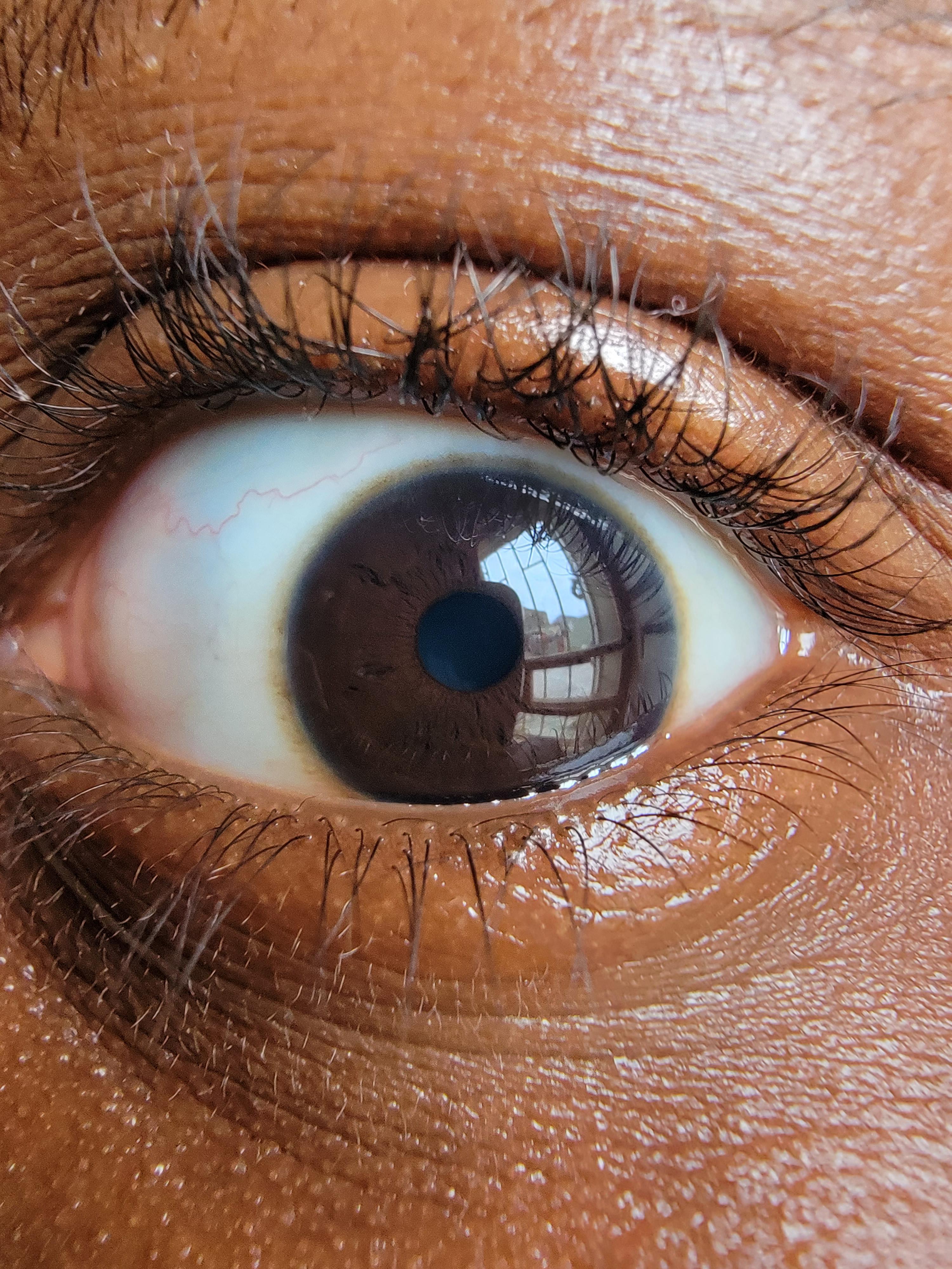 Macro shot | Scrolller