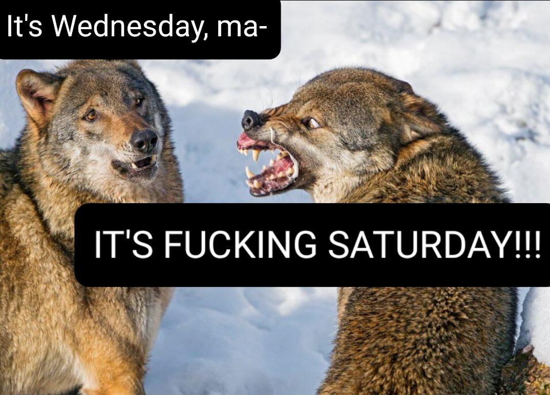 Mah Dudes~ | Scrolller