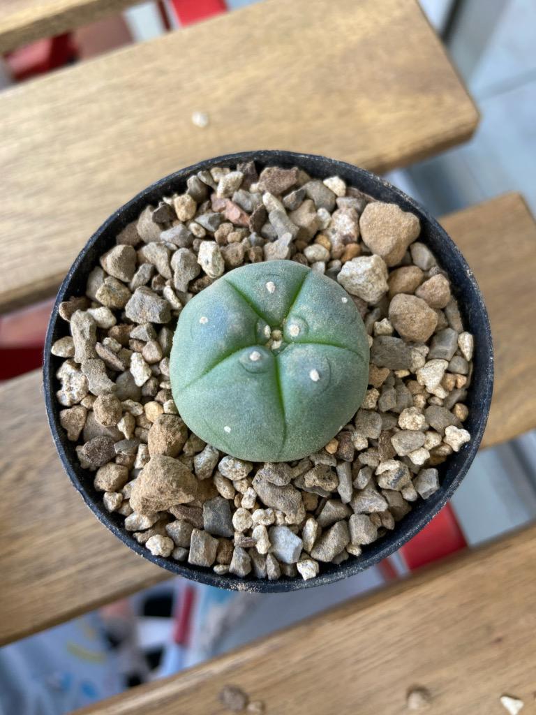 Mail Day delivered. | Scrolller