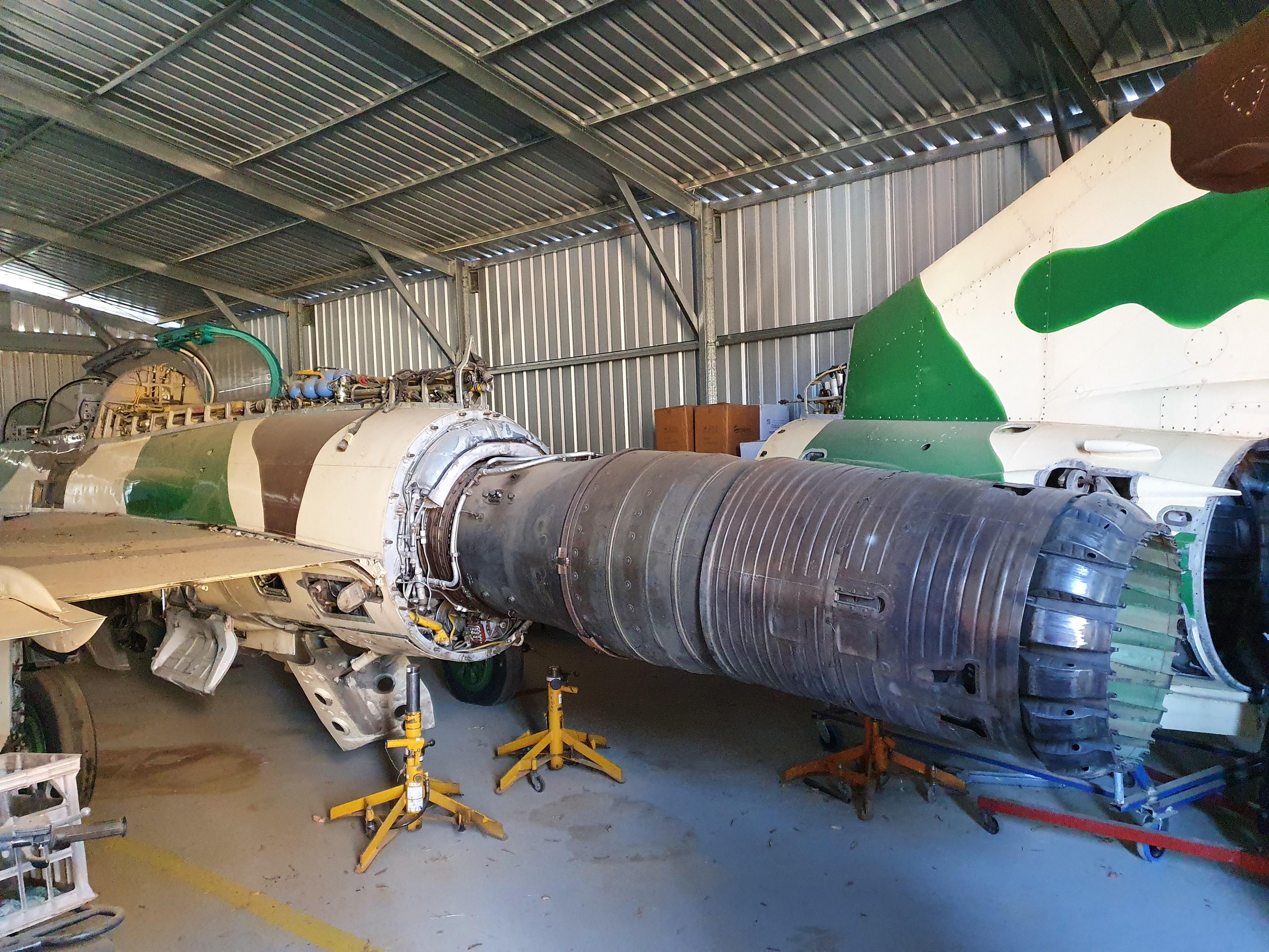 Mail order Mig shows you her insides. | Scrolller