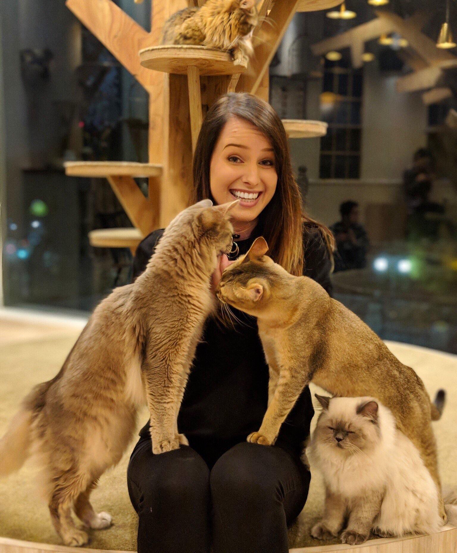 😺major mood: sleepy boi in bottom right😽 | Scrolller