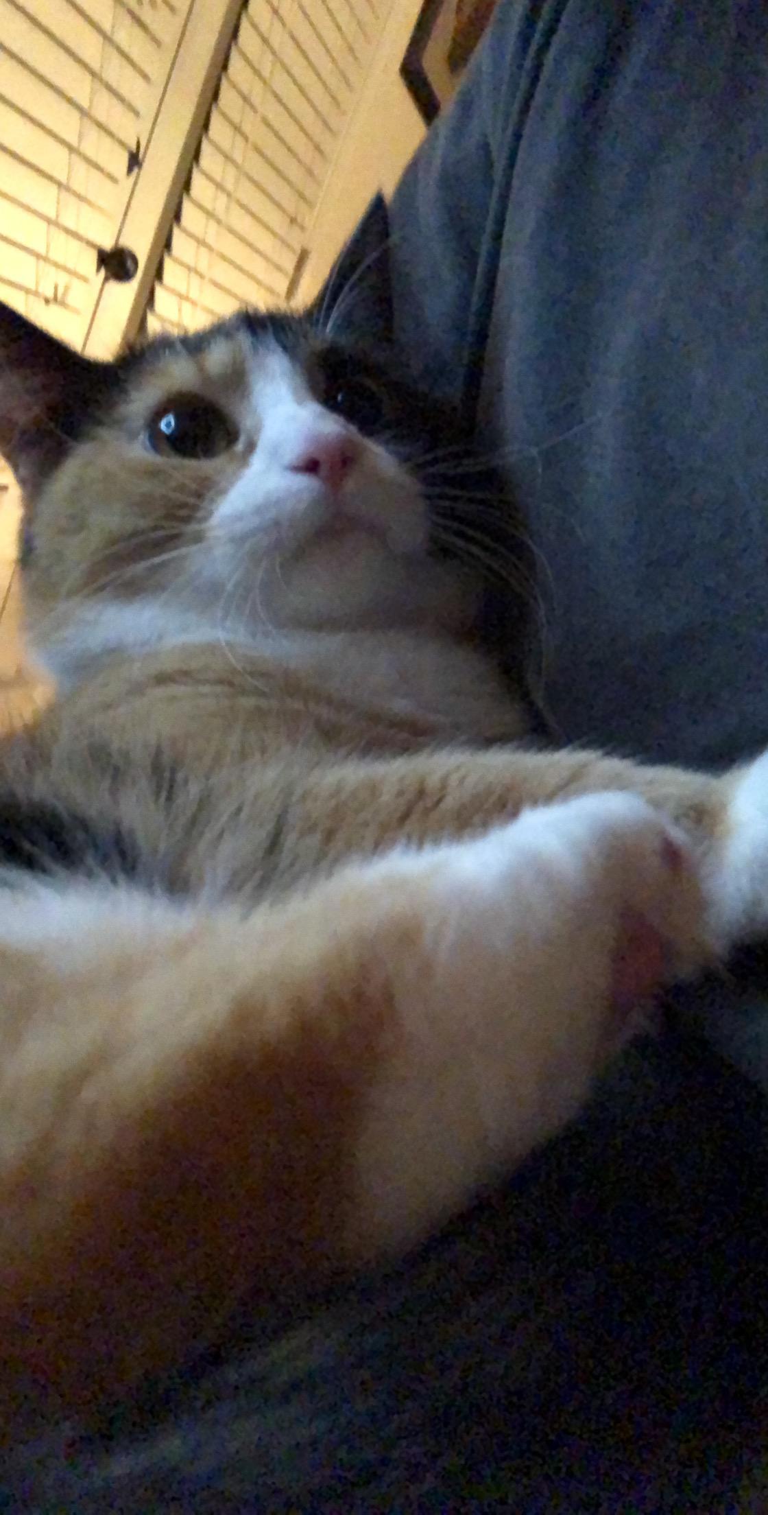 make her sadder ;-; | Scrolller